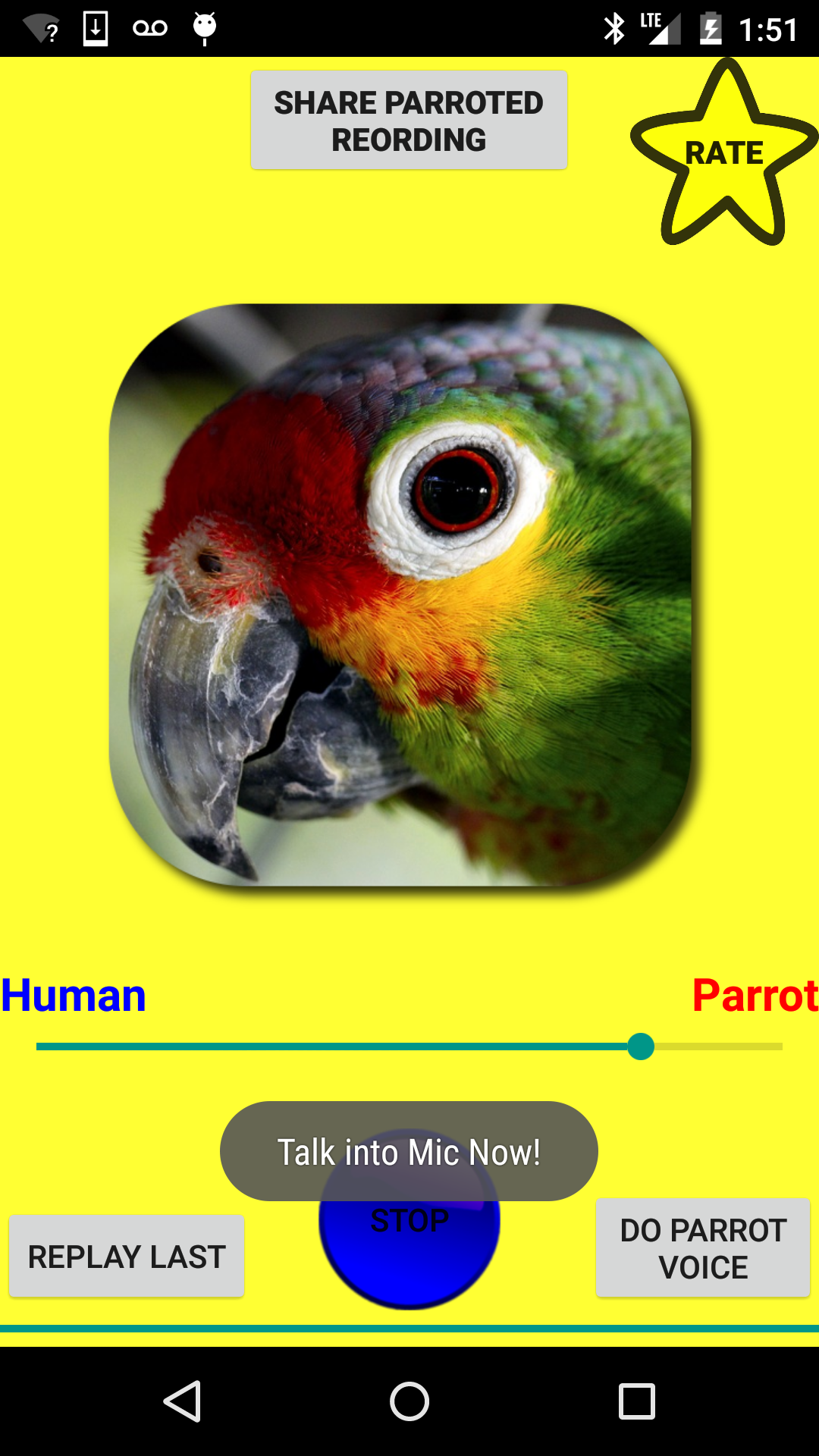 Talking Parrot Voice Changer - Repeating Parrot - App on Amazon Appstore
