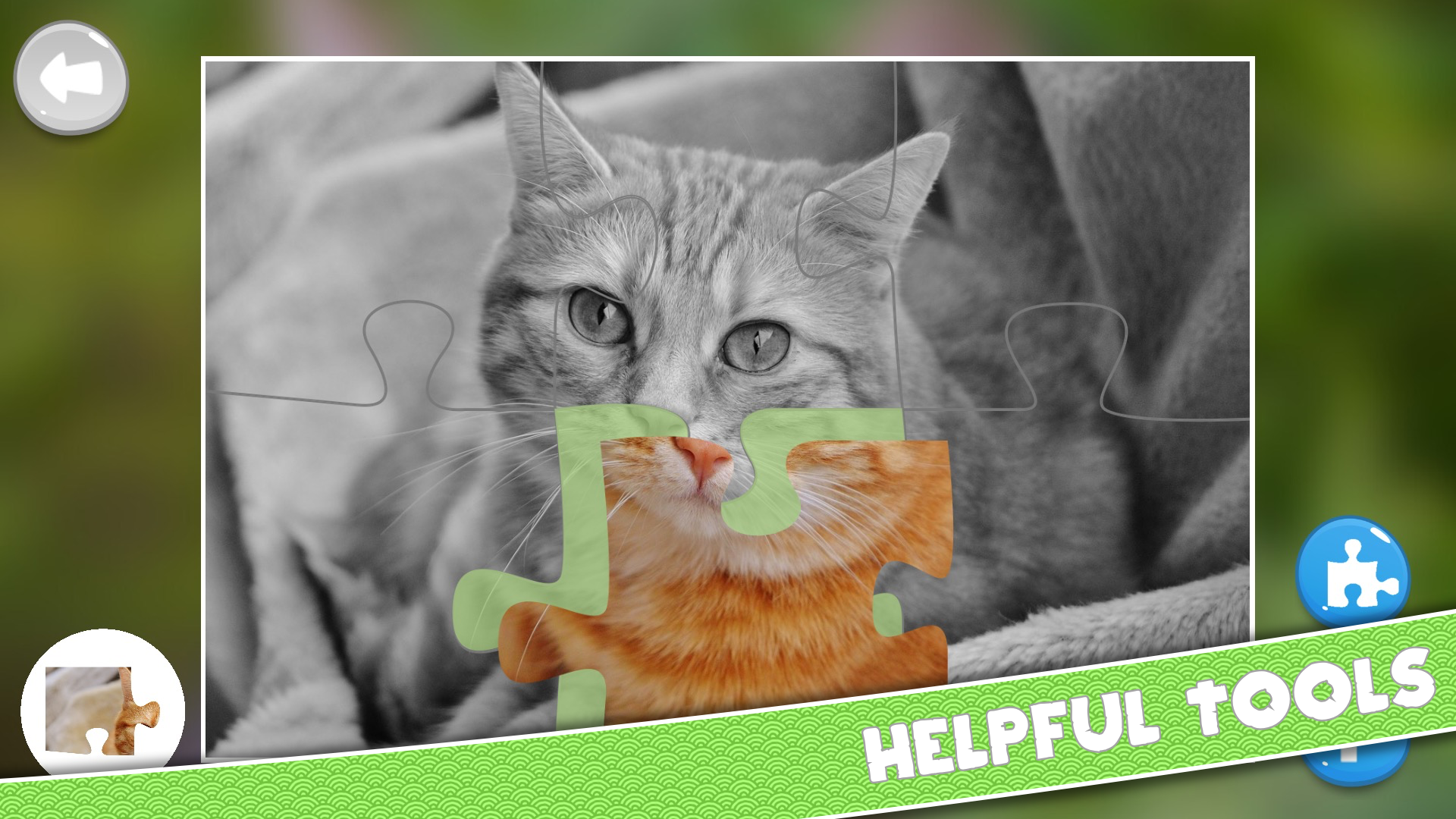 Kittens & Cats Jigsaw Puzzles for Kids - Cute, fun and Educational Cats ...