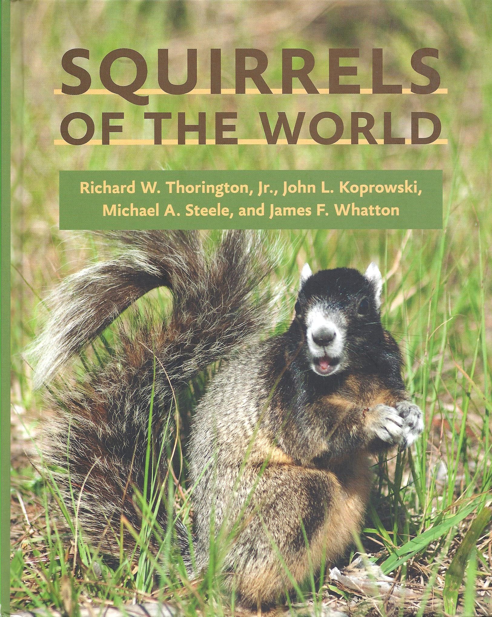 Amazon.com: Squirrels of the World: 9781421404691: Thorington Jr ...