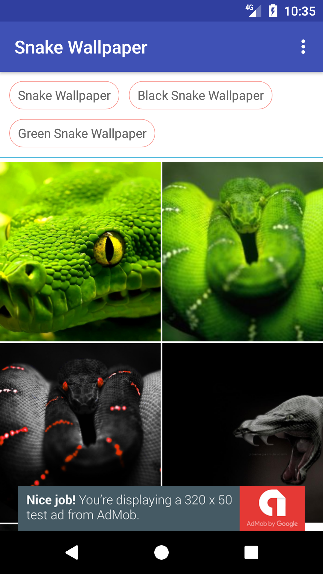 Free Snake Wallpaper Free HD Gucci Snake Wallpapers