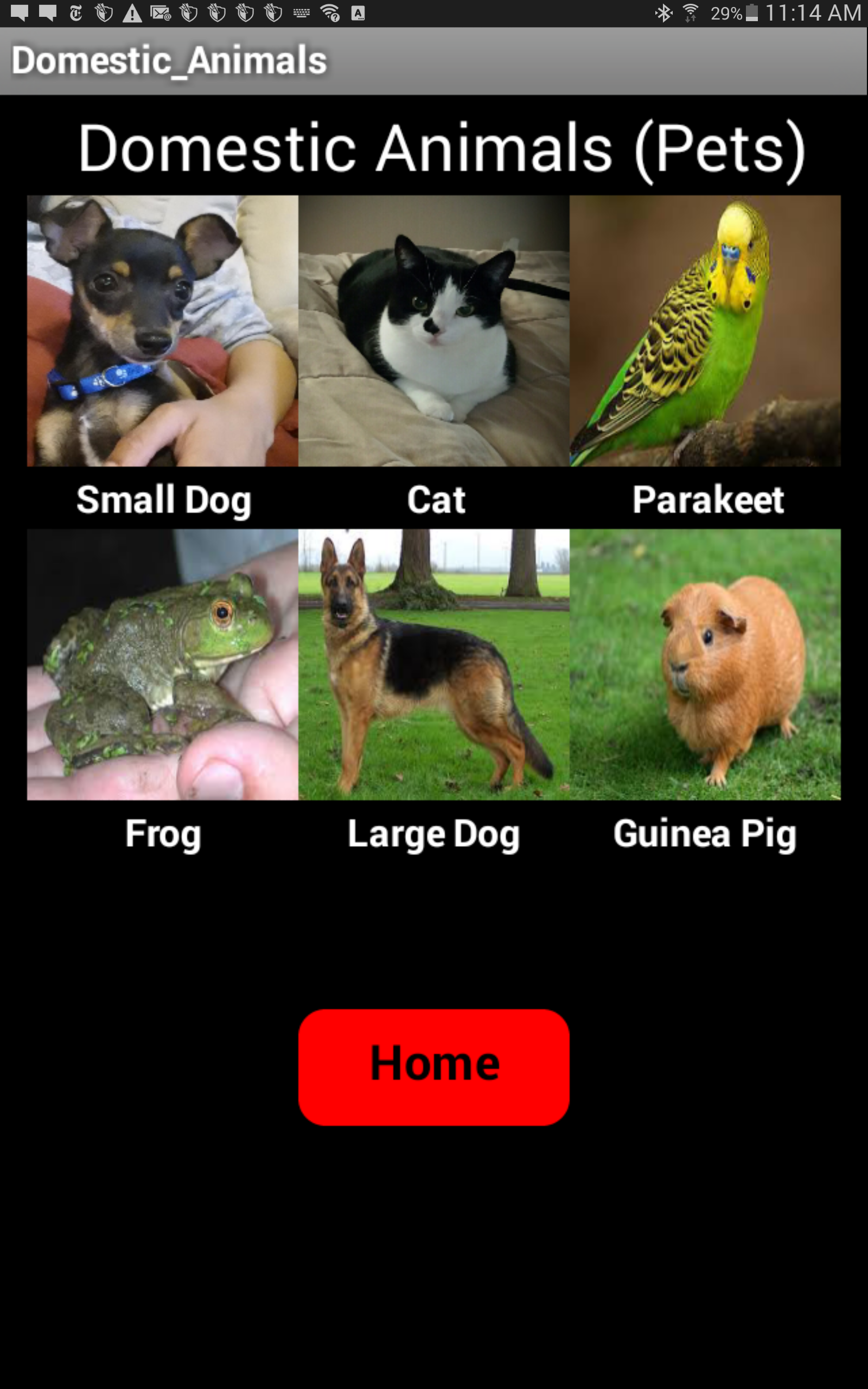Animal Chatter Lite - App on Amazon Appstore