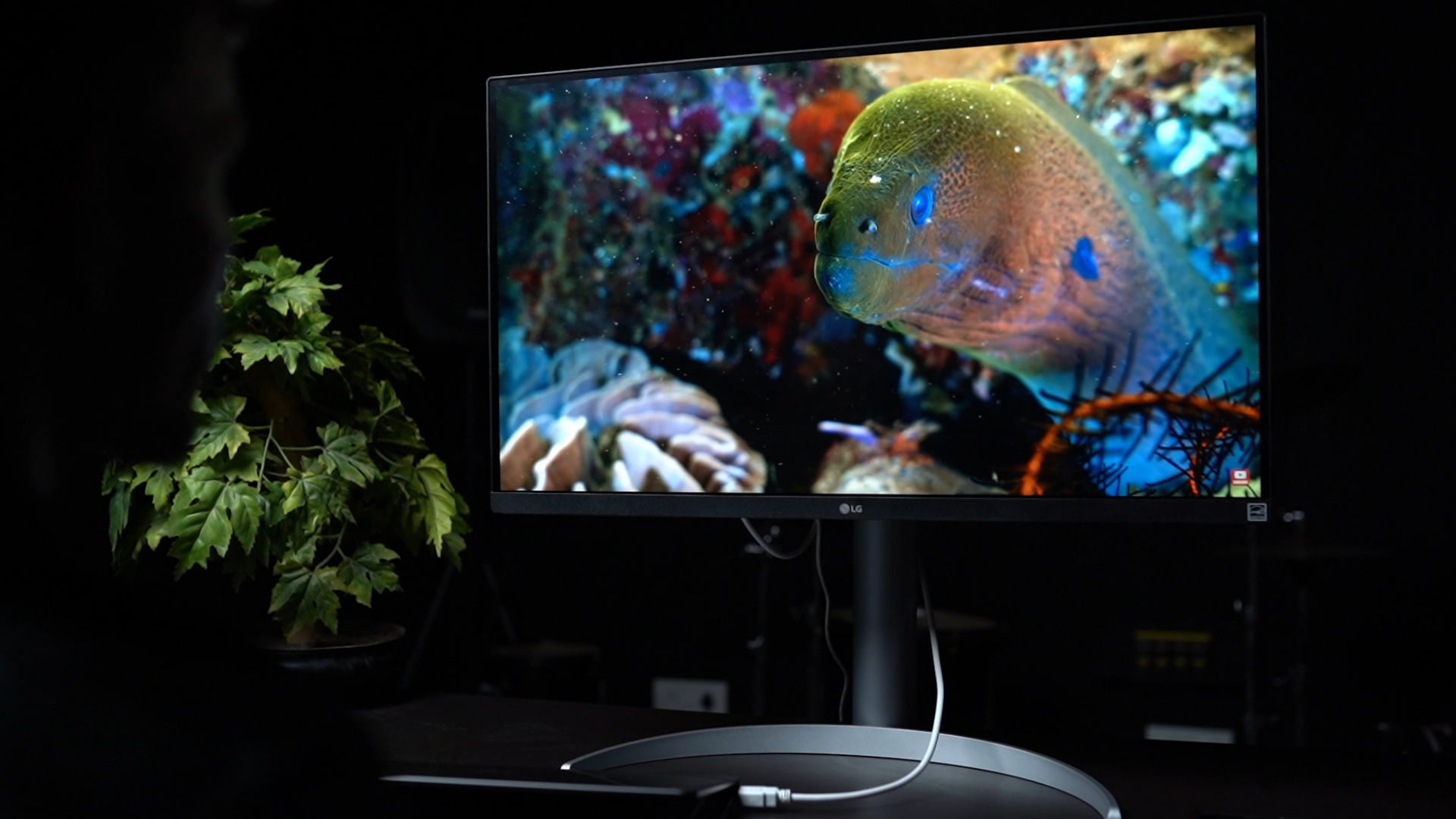 LG 27UP650-W 27 Inche (68.4 Cm) 27 (68.4cm) UHD (3840 x 2160 Pixels) 4K ...