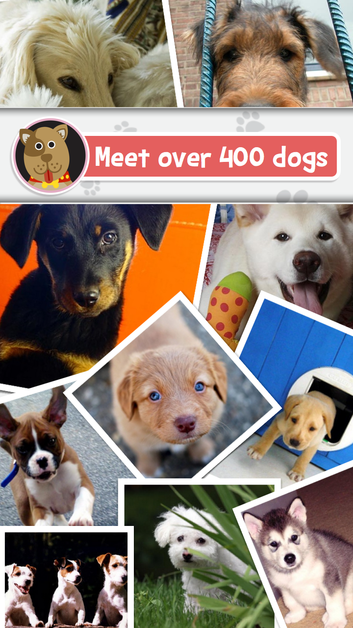 Breeds: The Dog Name Game - The Favorite ‘Guess the Word’ game of Dog ...