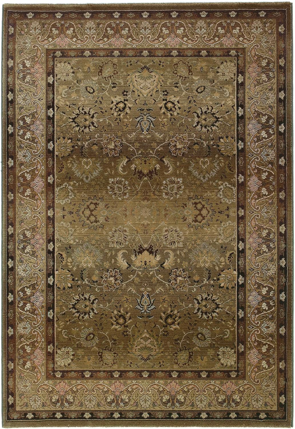 Amazon.com: Sphinx By Oriental Weavers Generations 3434j Area Rug ...