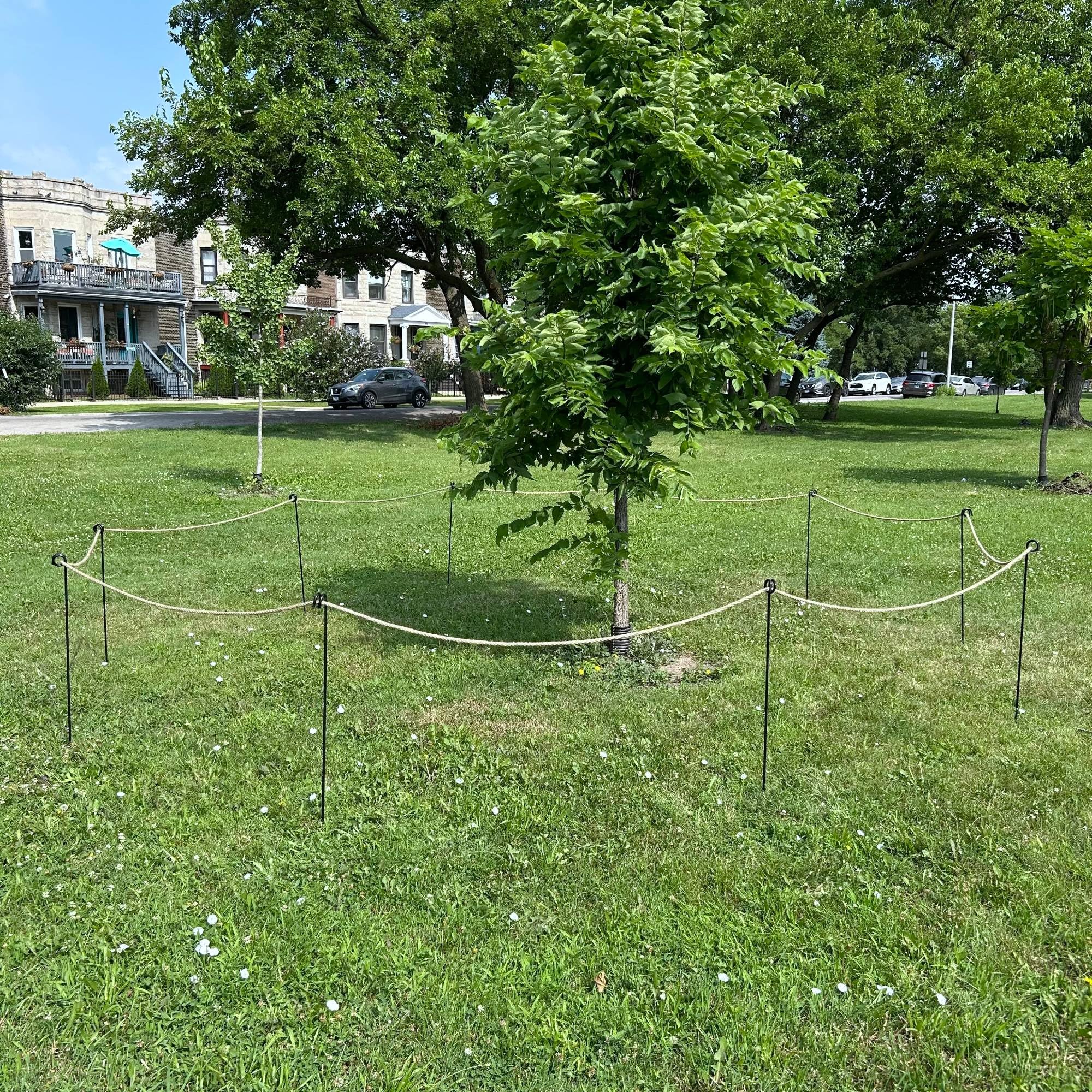 Snapklik.com : 42" Inch, Single Rope Poles/Stakes For Creating A Rope ...