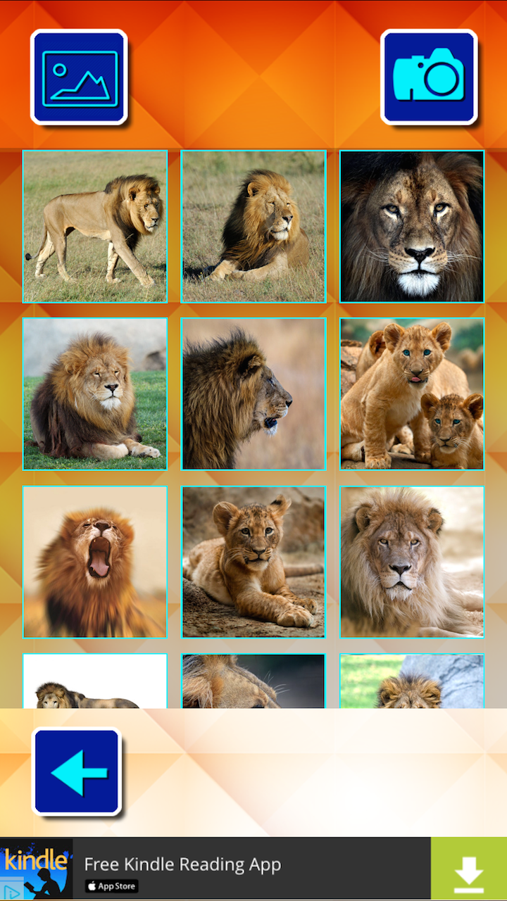 Lions and Big Cats - Puzzle Slide - App on Amazon Appstore