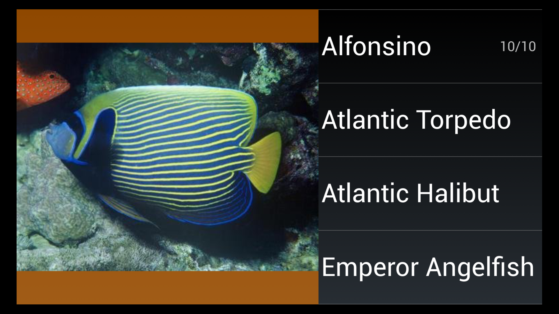 Fish Species Trivia Quiz - App on Amazon Appstore