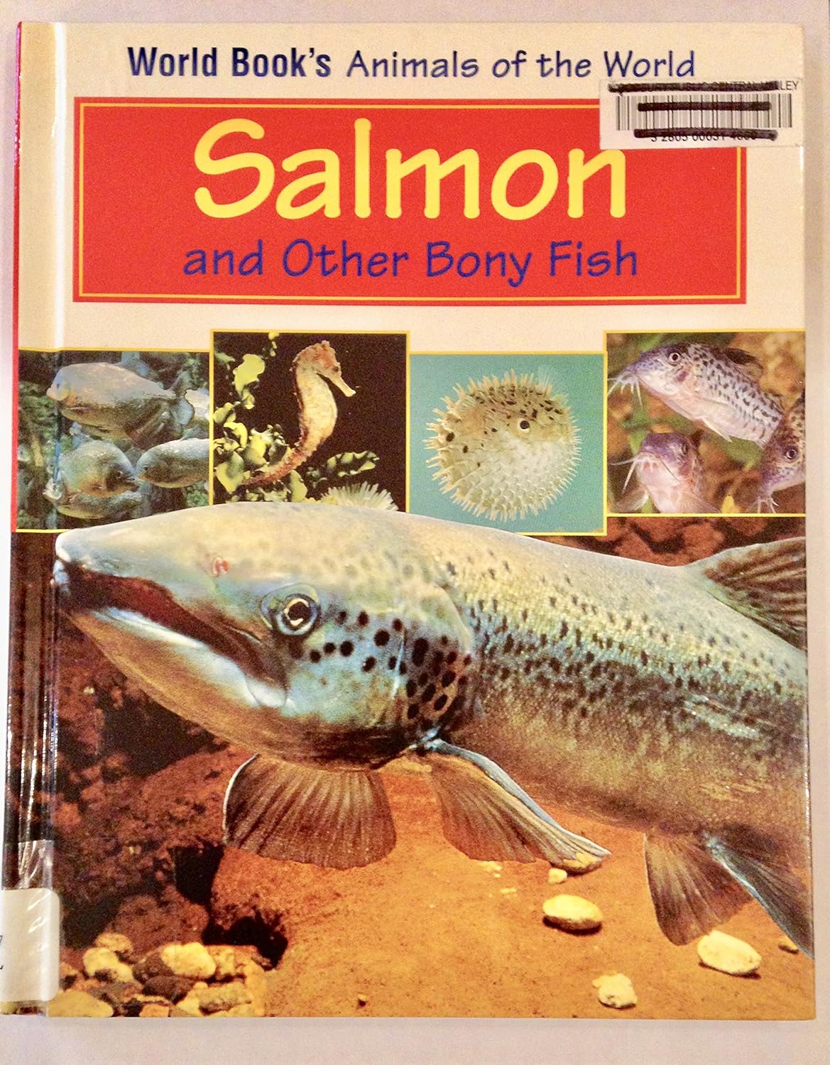 Salmon and Other Bony Fish (World Book's Animals of the World): Goldish ...
