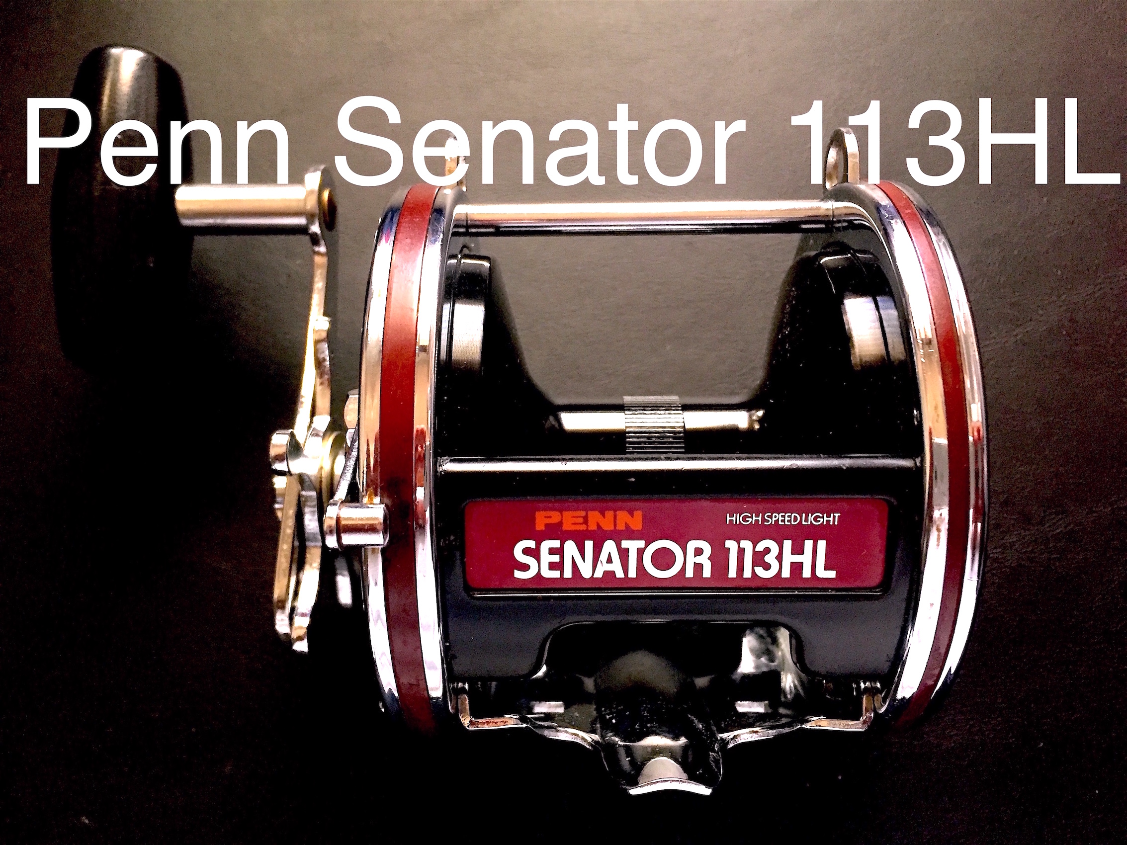 Watch Penn Senator#113 Conventional Reel For Trolling & Baiting! on ...