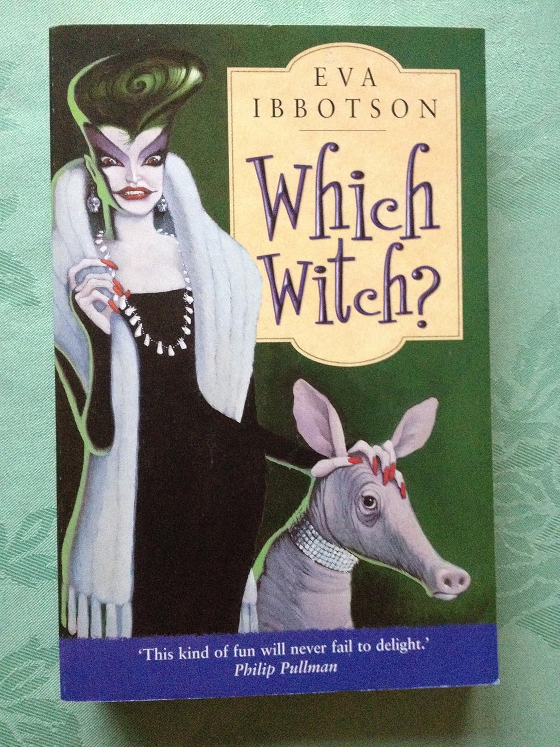 Amazon.com: Which Witch?: 9780330398008: Ibbotson, Eva: Books