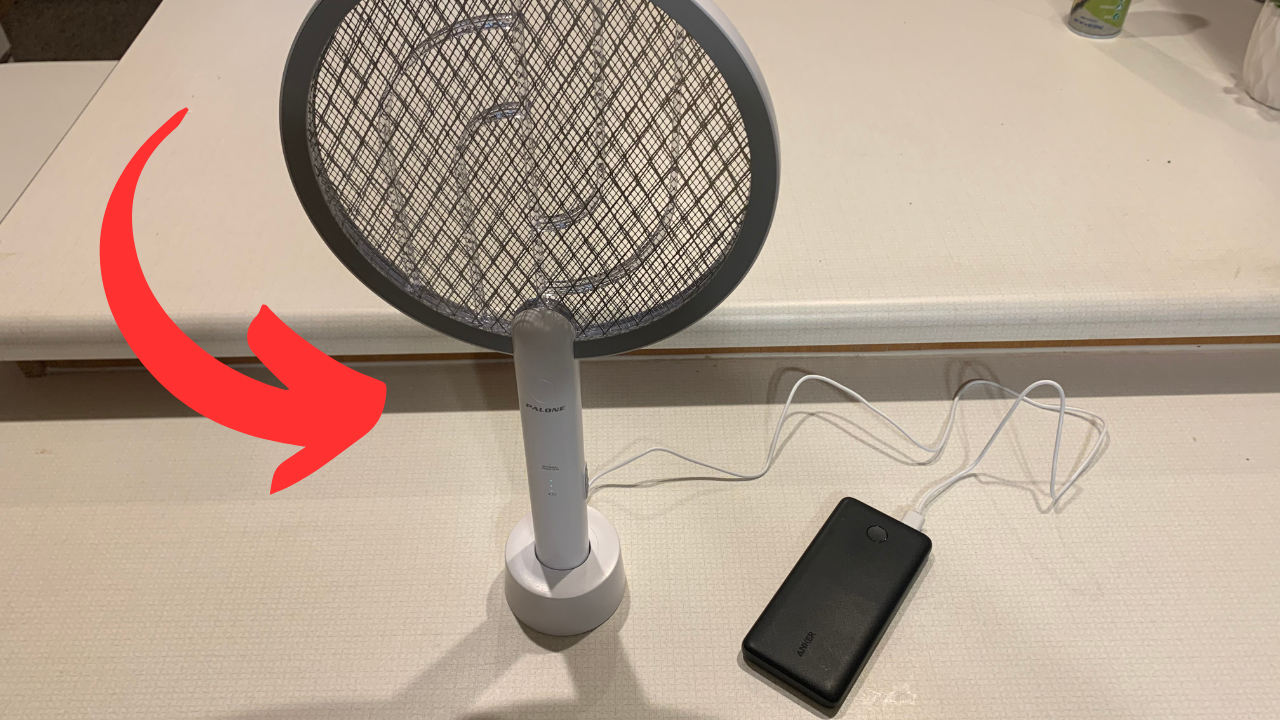 Watch How to Use Palone Electric Fly Swatter. Is it Worth it? on Amazon ...