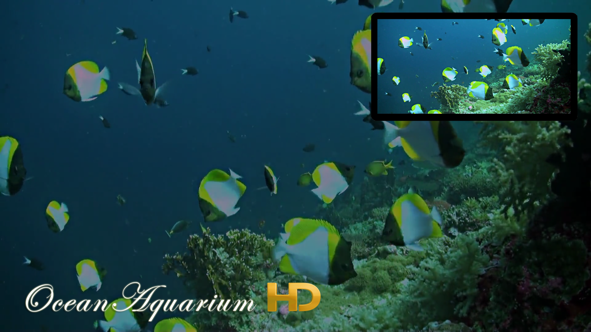Ocean Aquarium HD - App on Amazon Appstore