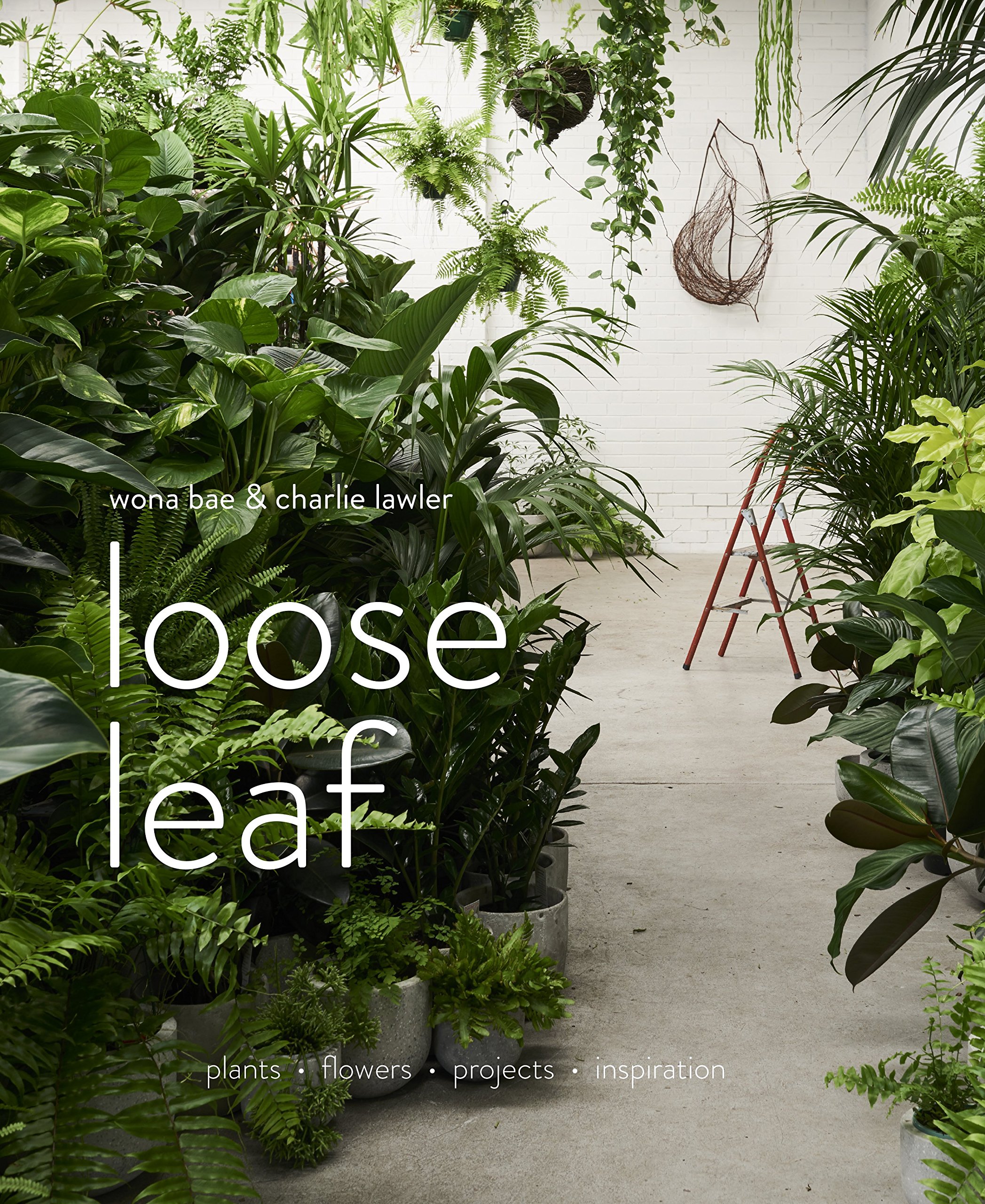 Loose Leaf: Plants - Flowers - Projects - Inspiration: Bae, Wona ...