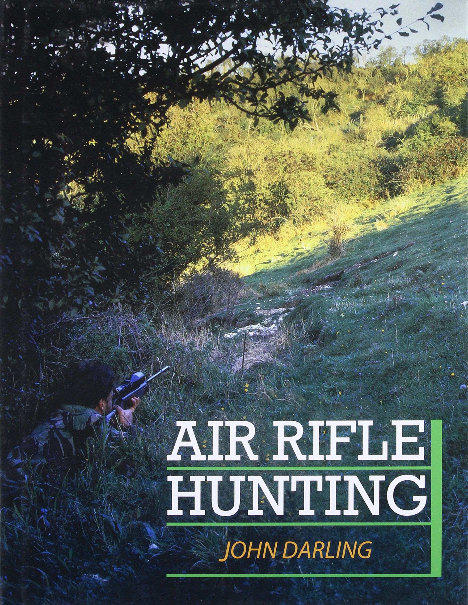 Air Rifle Hunting: Darling, John: 9781852230630: Amazon.com: Books