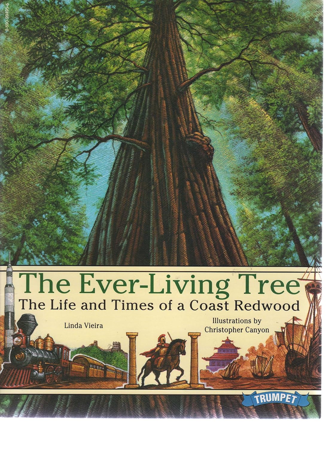 The Ever-Living Tree: Linda Vieira, Christopher Canyon: 9780590994958 ...