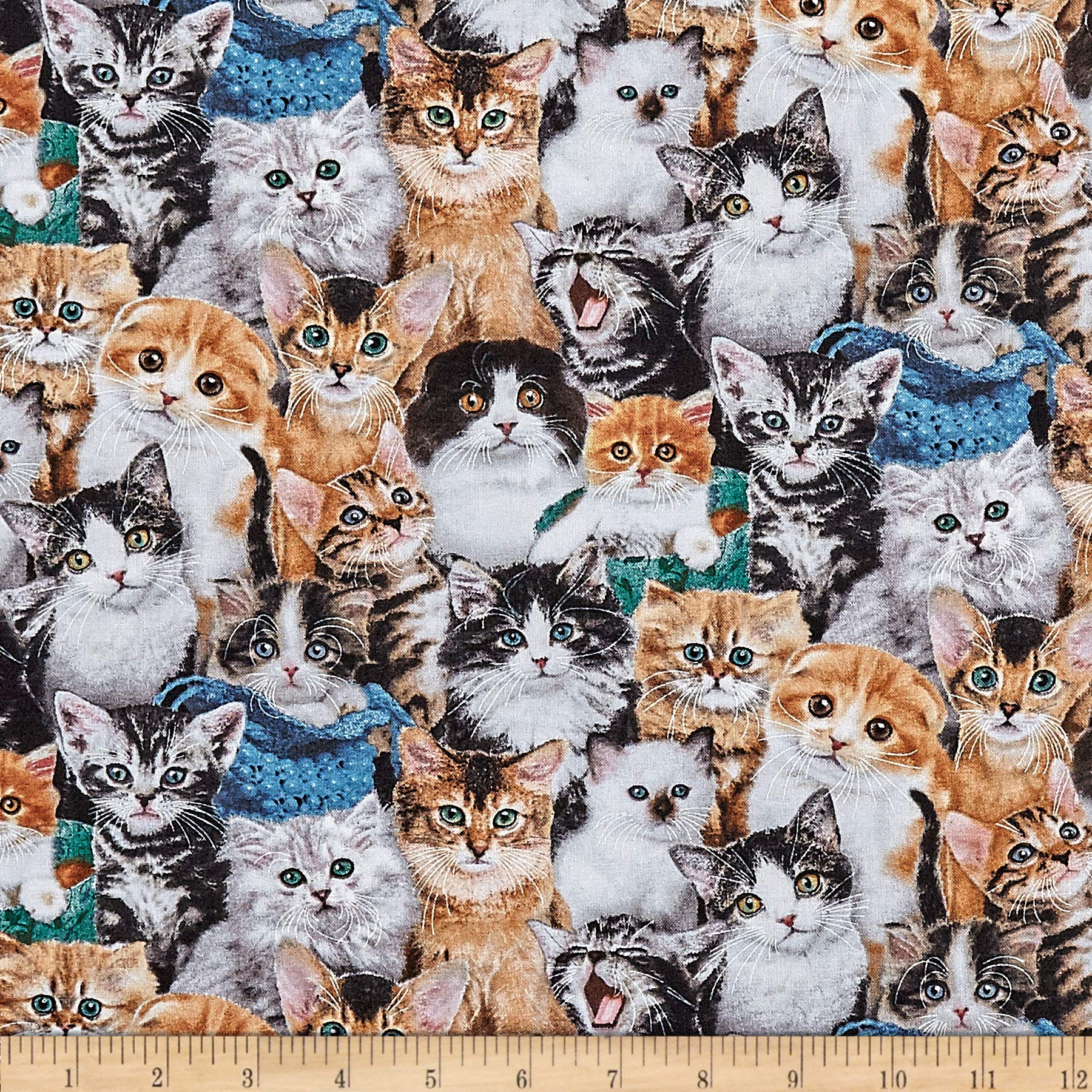 Amazon.com: Cat Breeds Packed Cats Multi, Fabric by the Yard : Arts ...