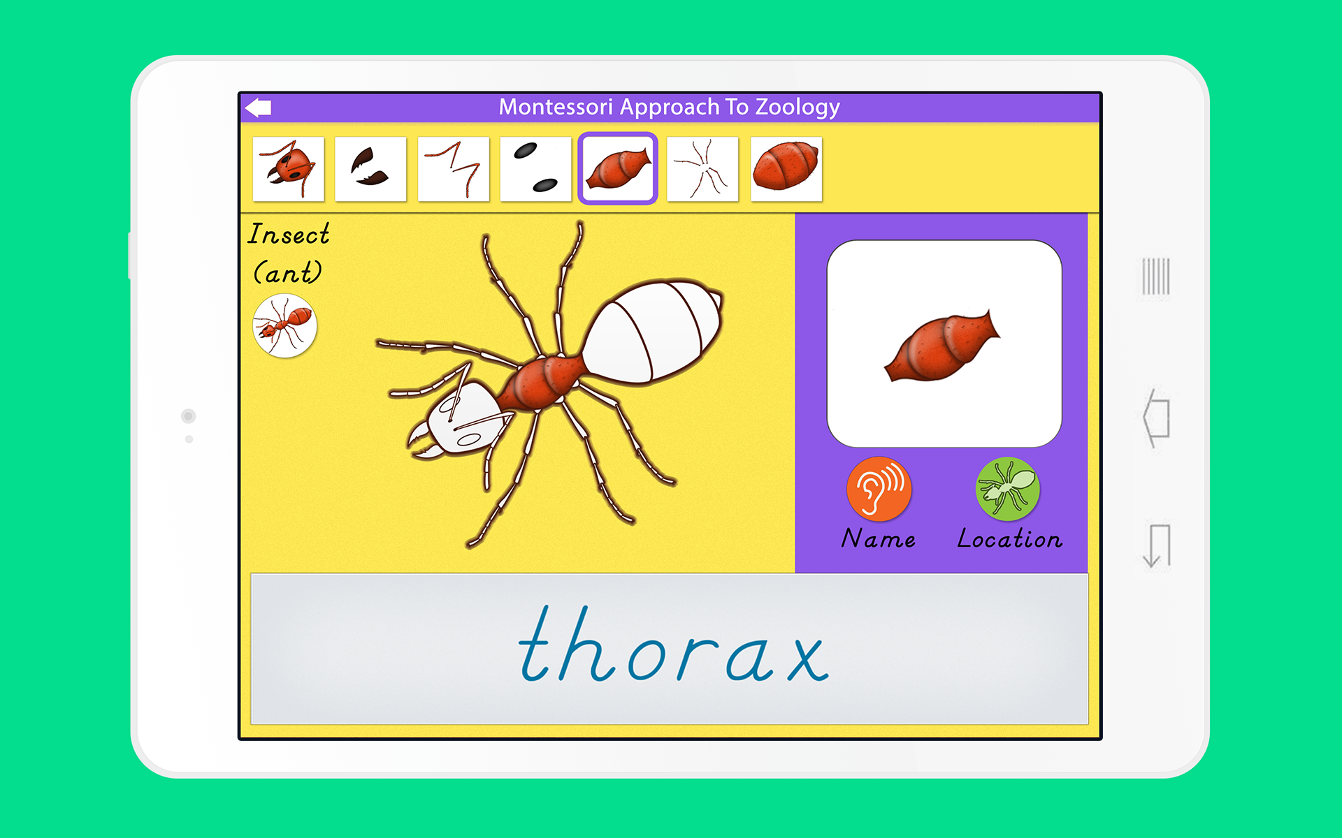 Montessori Zoology - Parts of Animals - Invertebrates - App on Amazon ...