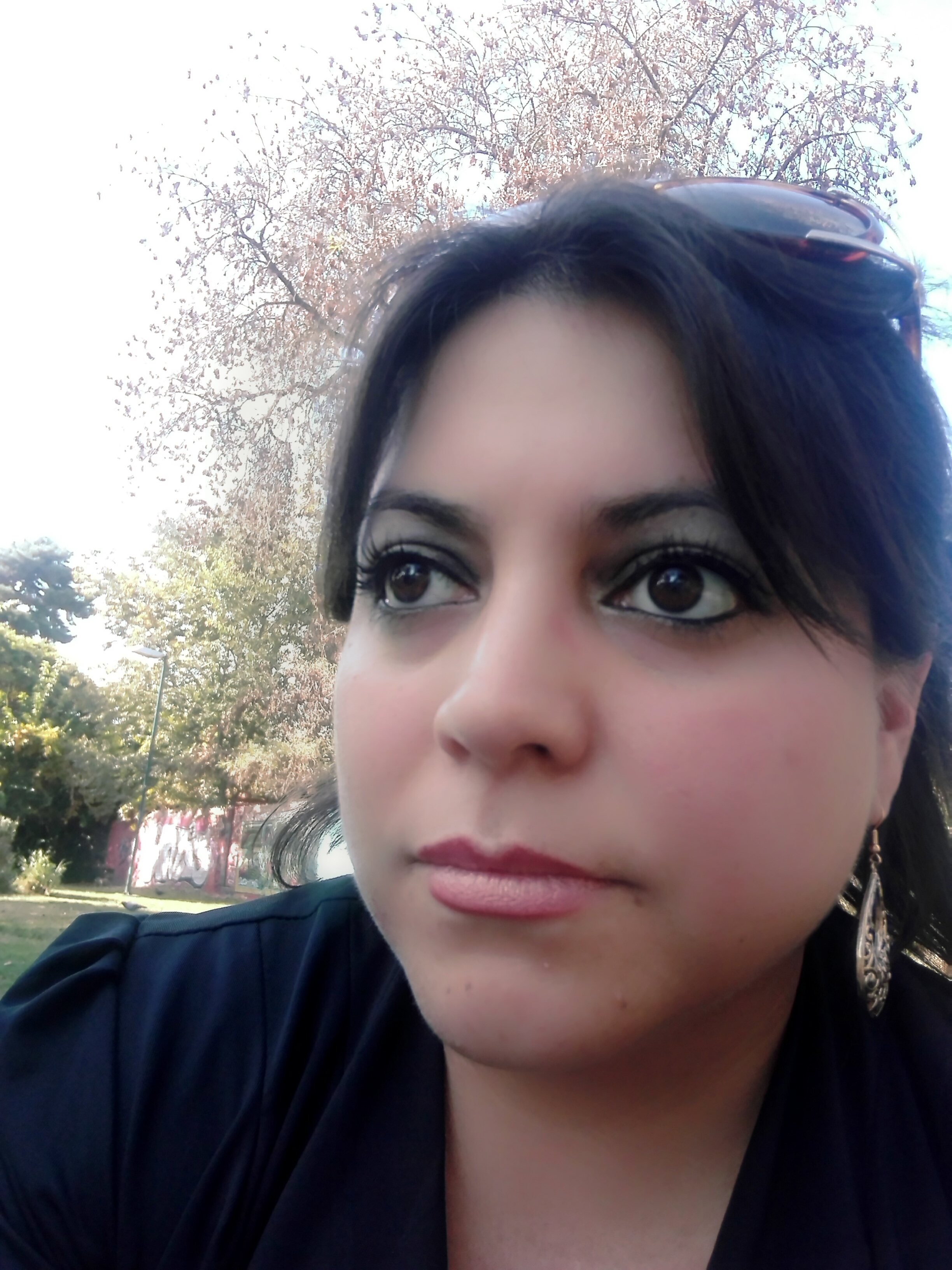 Amazon.es: Amanda Fox: libros, biografía, última actualización