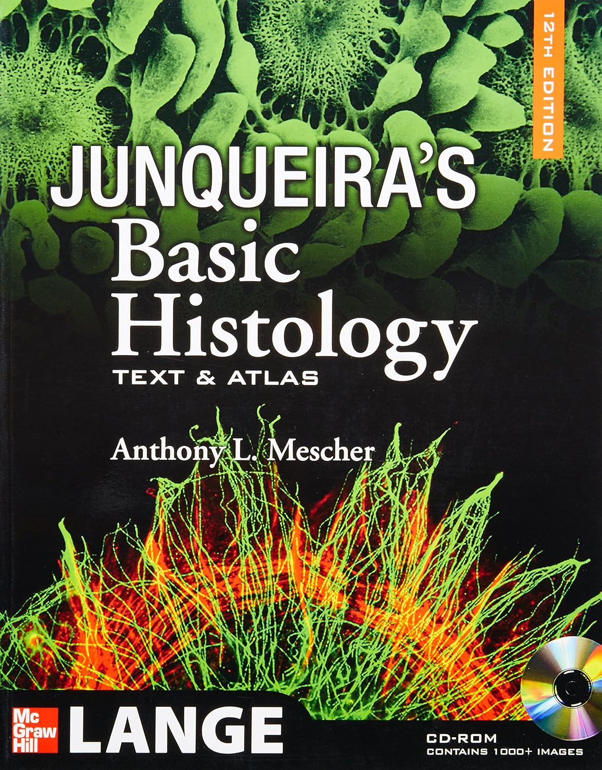 Amazon | Junqueira's Basic Histology: Text & Atlas | Mescher, Anthony L ...