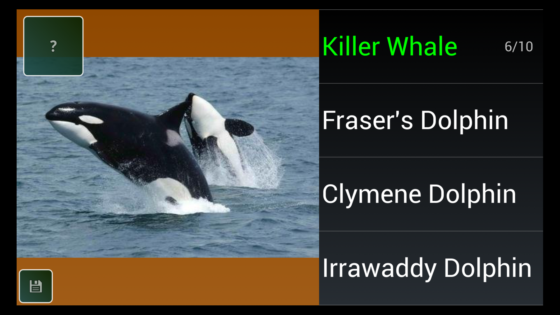 Marine Mammal Species Trivia Quiz - App on Amazon Appstore