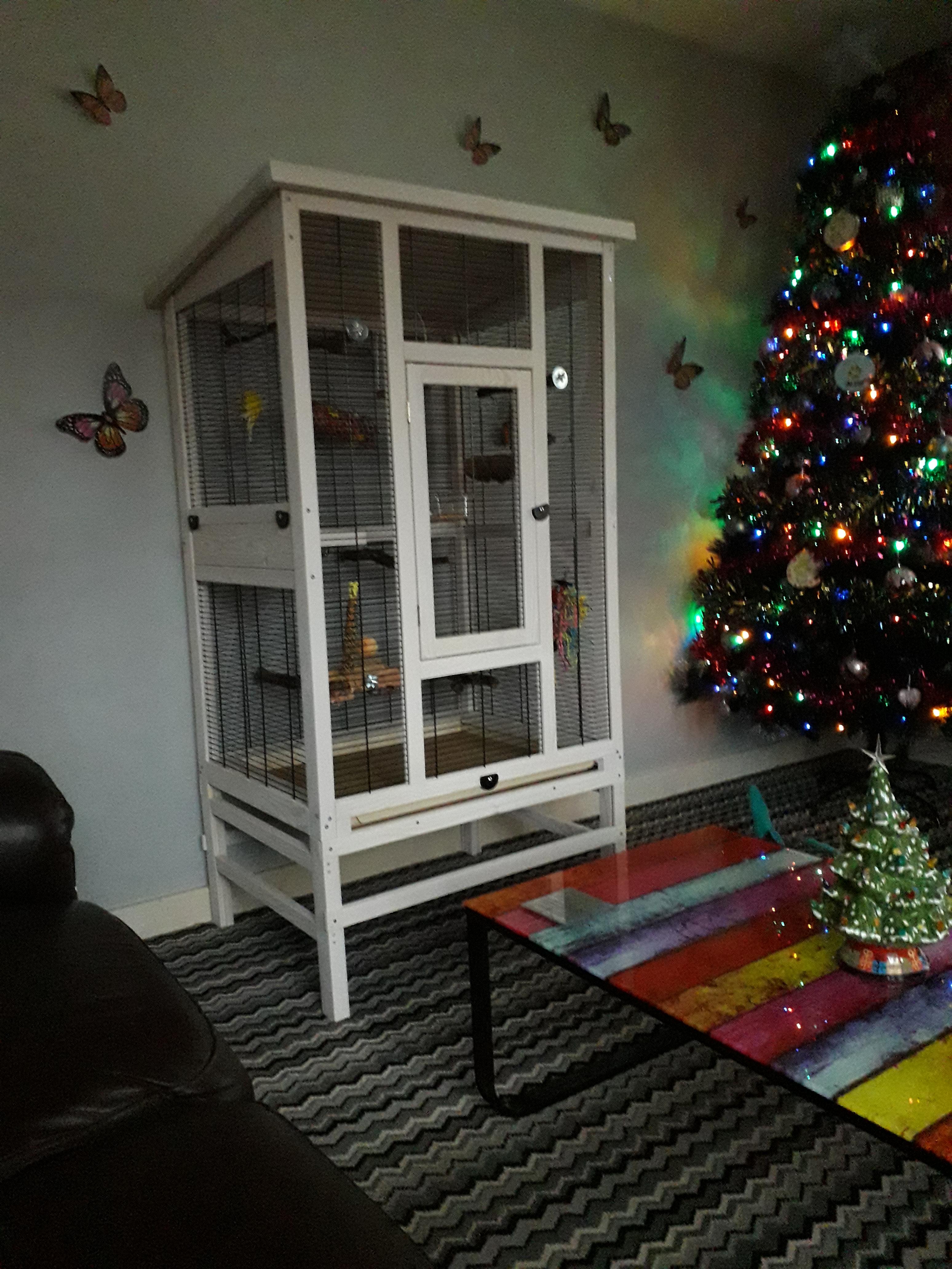 Outdoor Wooden Large Bird Aviary : Amazon.co.uk: Pet Supplies