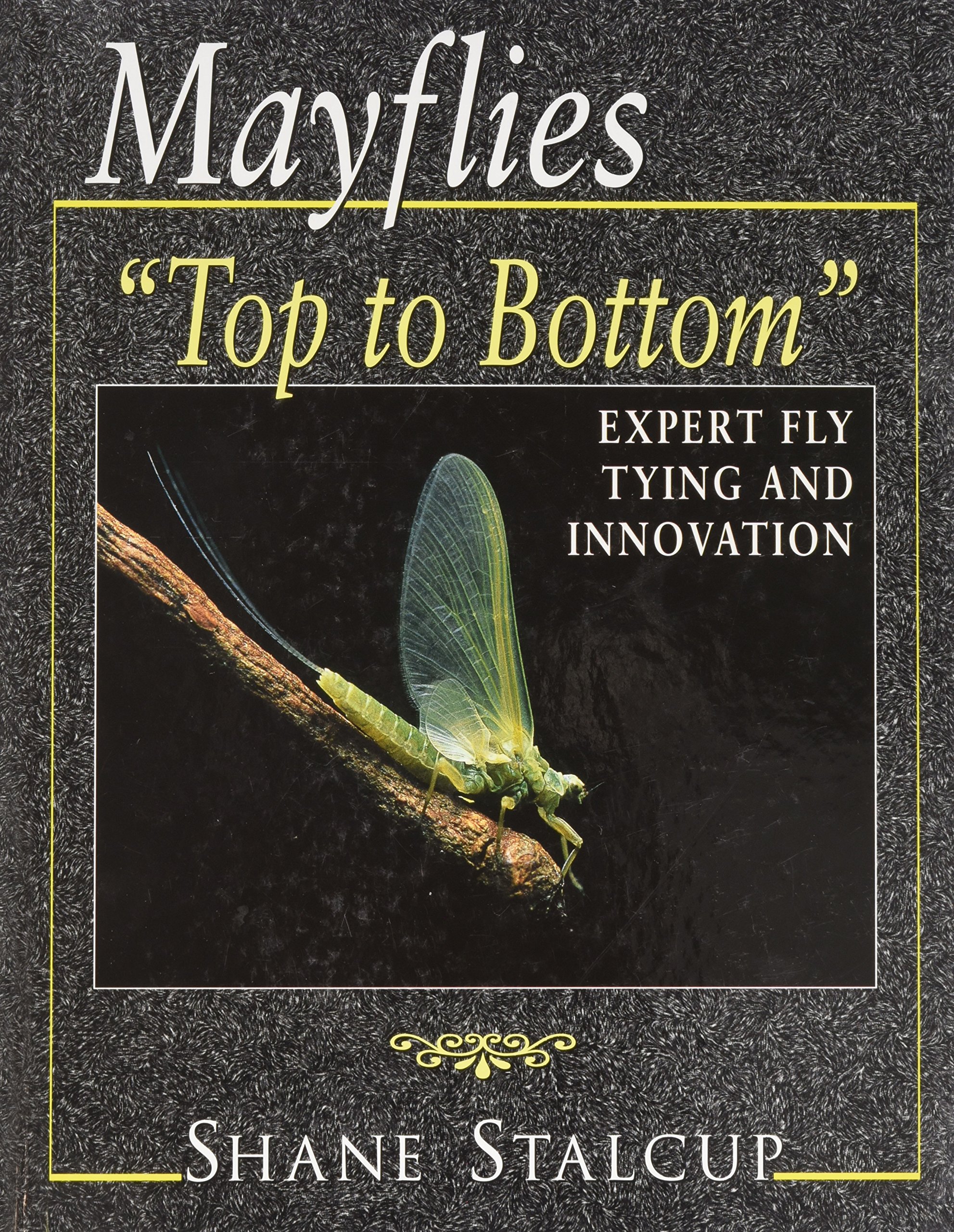 Mayflies: "Top to Bottom": Stalcup, Shane: 9781571882431: Amazon.com: Books