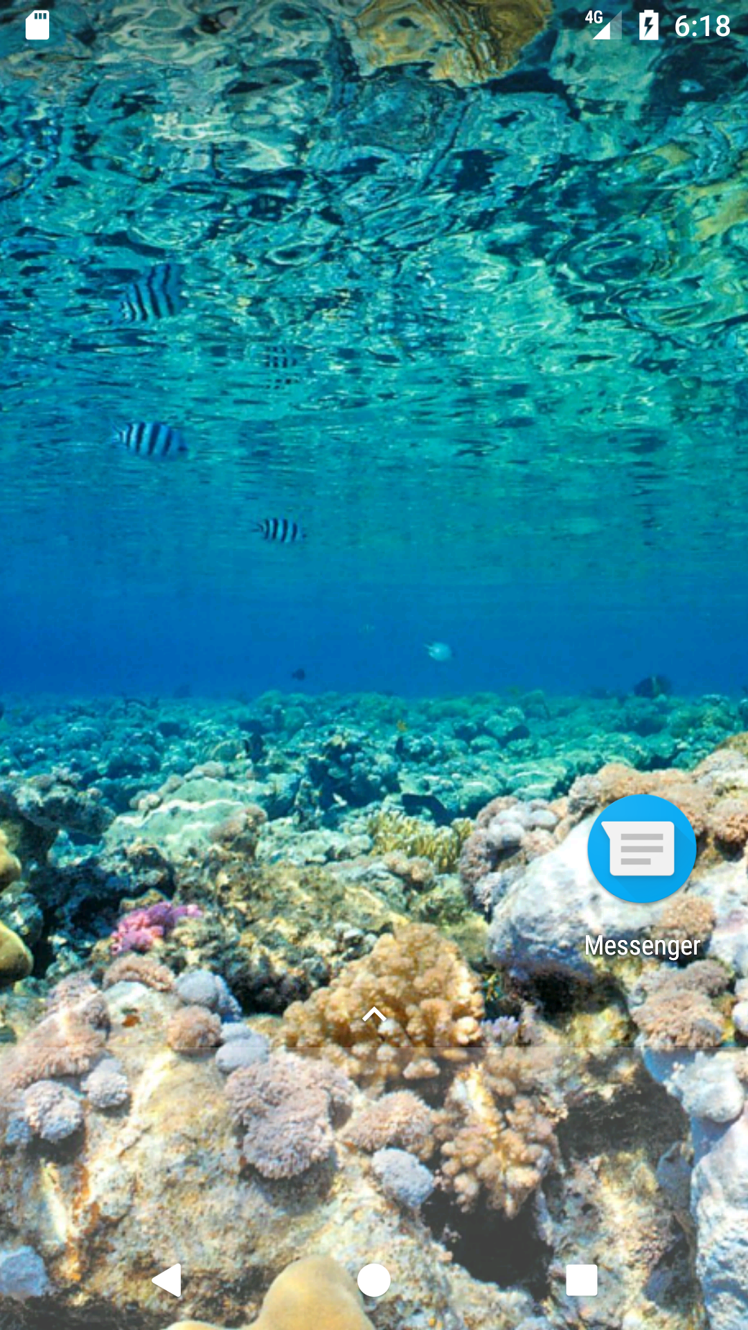 Sea Coral Wallpaper HD Free - App on Amazon Appstore