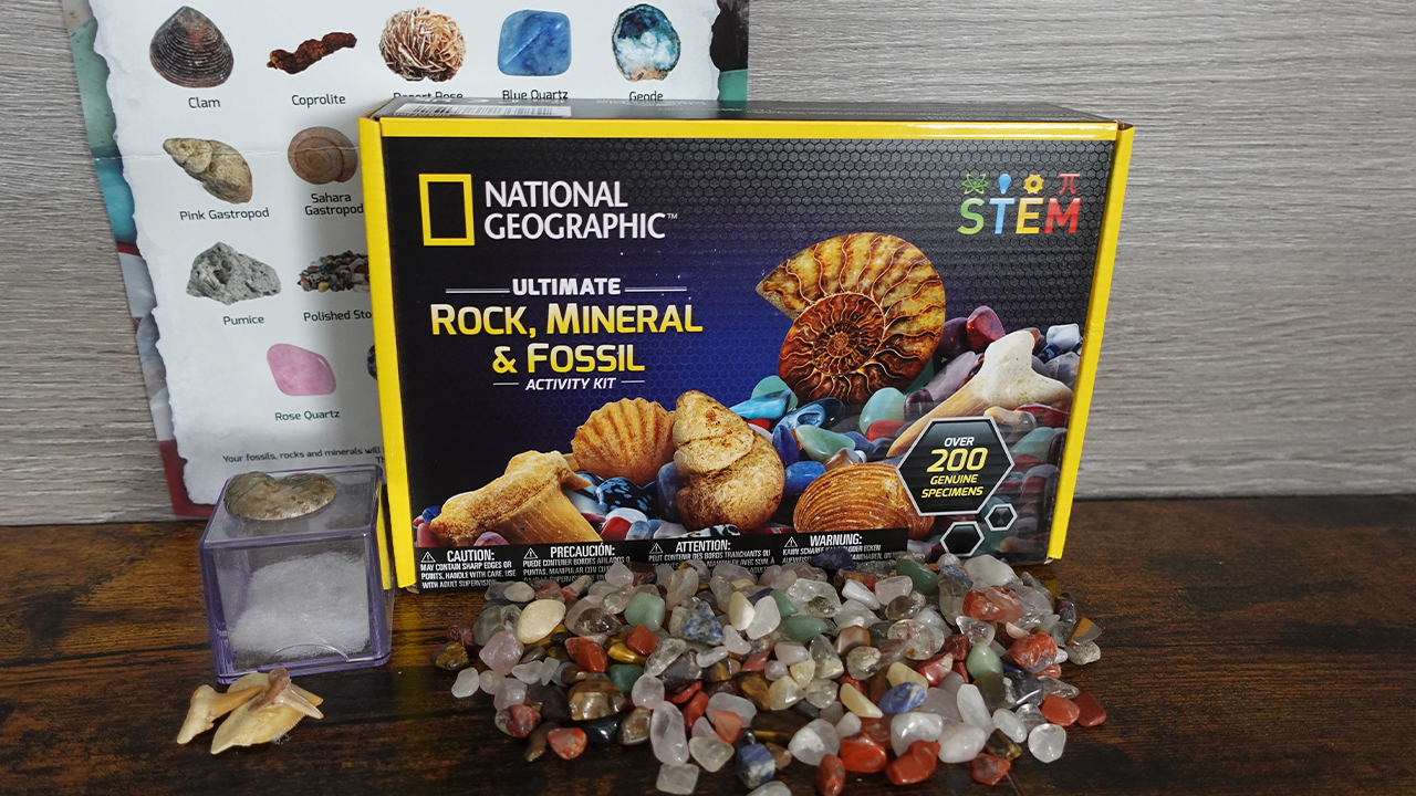 Watch Over 200 Fossils and Rocks to study on Amazon Live