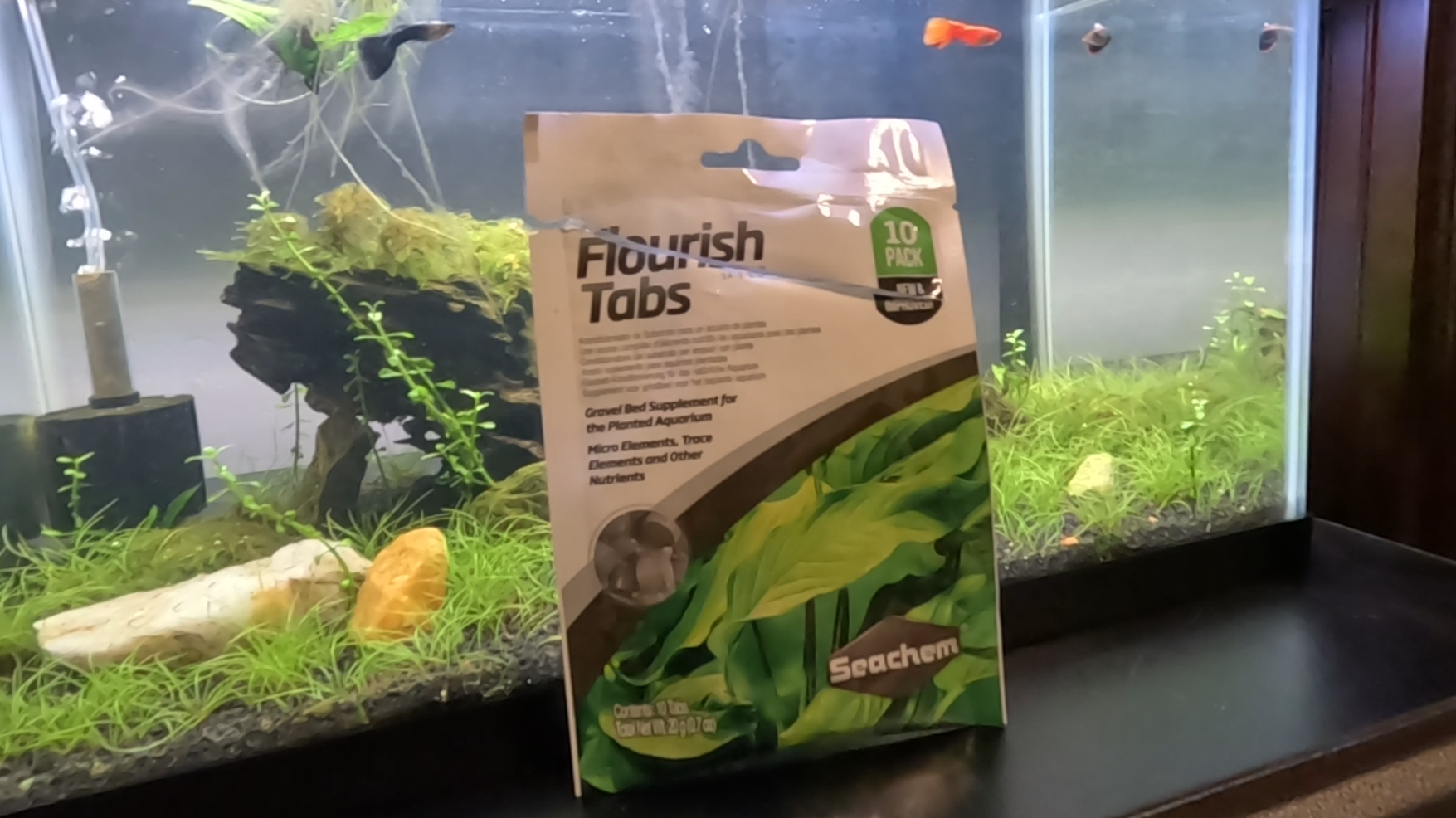 Watch HONEST review of Seachem Flourish Root Tabs. Huge growth! on ...