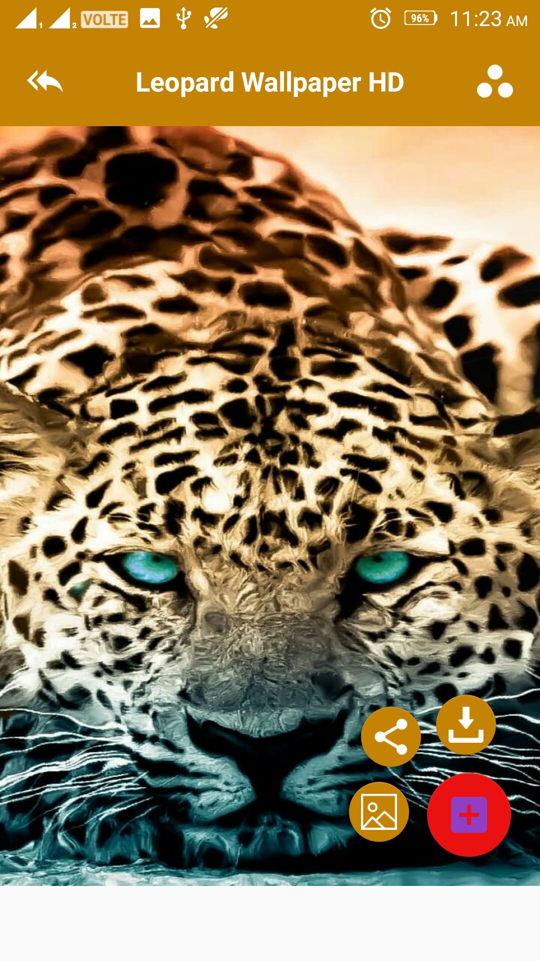 Leopard 4K Wallpaper - App on Amazon Appstore