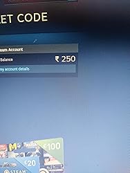 INR 250 Steam Wallet Code(Digital Code-Email Delivery within 2 hours ...