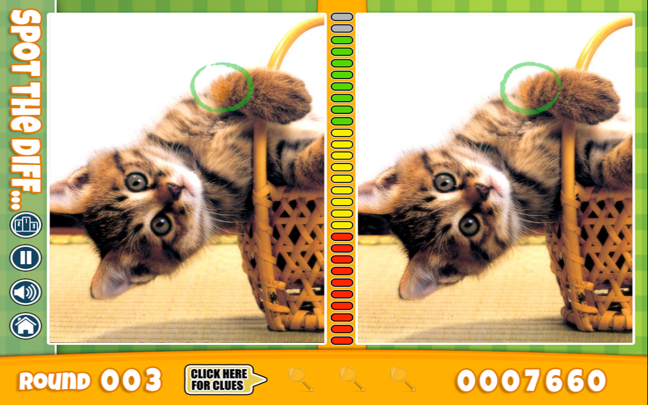 Spot The Difference Cat & Kitten Pics - App on Amazon Appstore