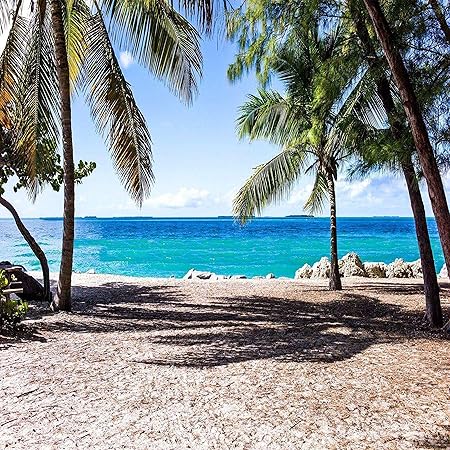 Amazon.com : Tropical Beach Photo Booth Backdrop - 5.9x5.9ft, Perfect ...
