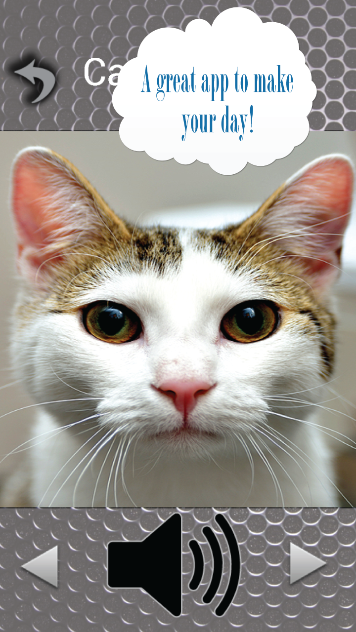 Kitty Sounds Games - App on the Amazon Appstore