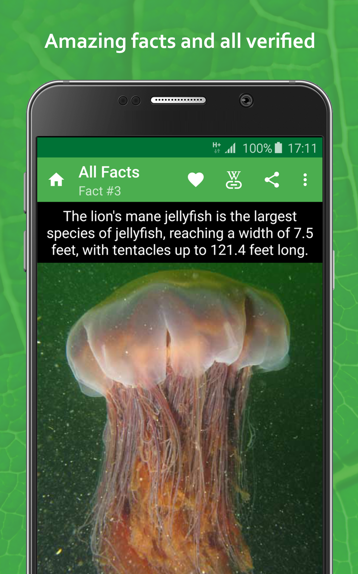 🌟Verified Facts - Verifacts - App on Amazon Appstore