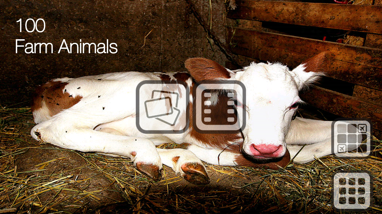 100 Farm Animals - App on Amazon Appstore