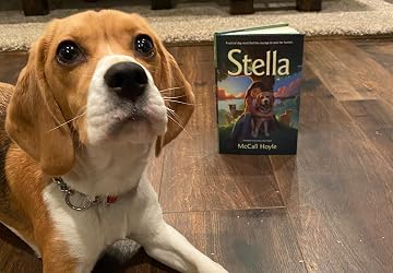 Stella | 14 State Award Nominations - Best Book of the Year (Best ...
