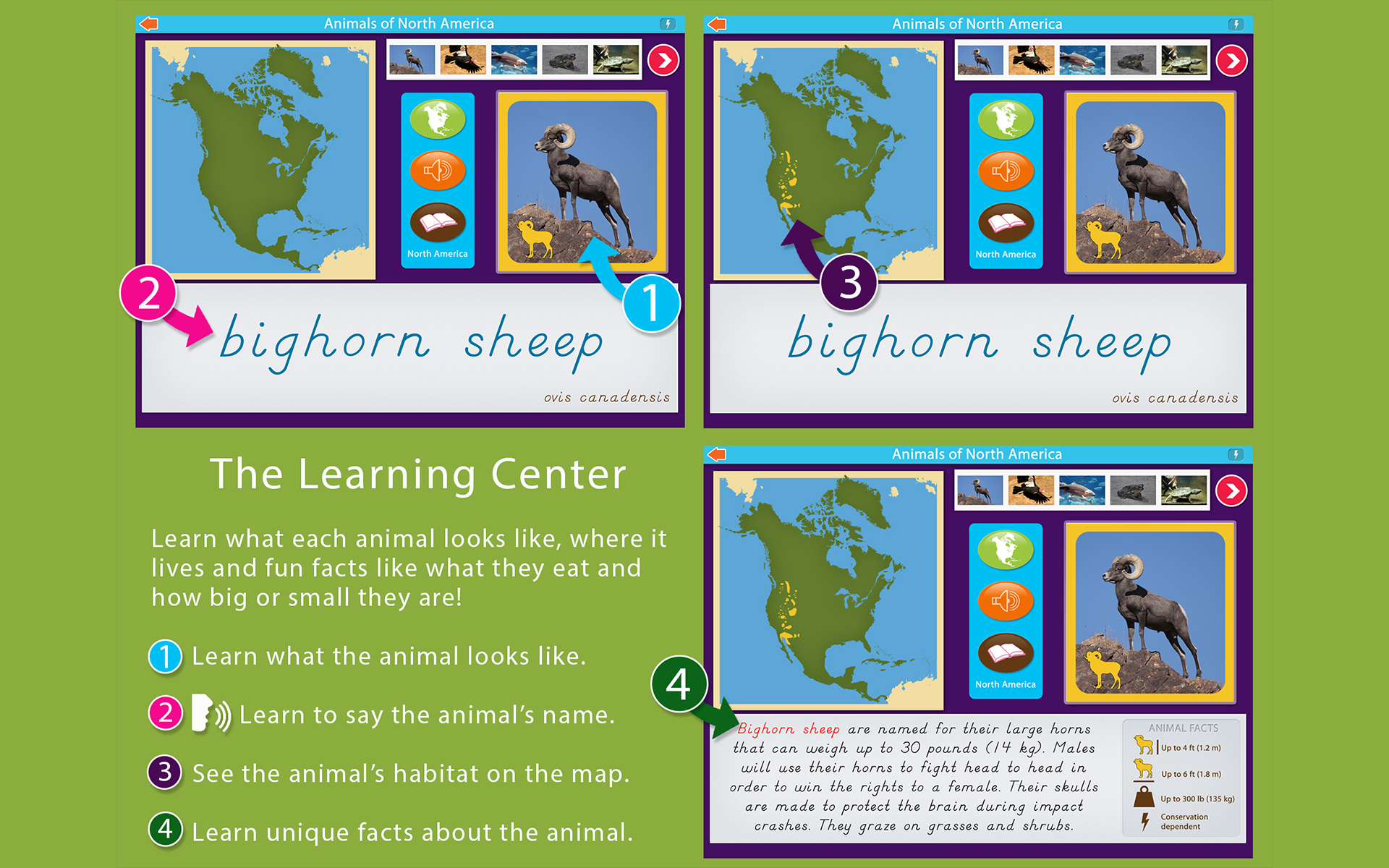 Animals of North America - Montessori Geography - App on Amazon Appstore