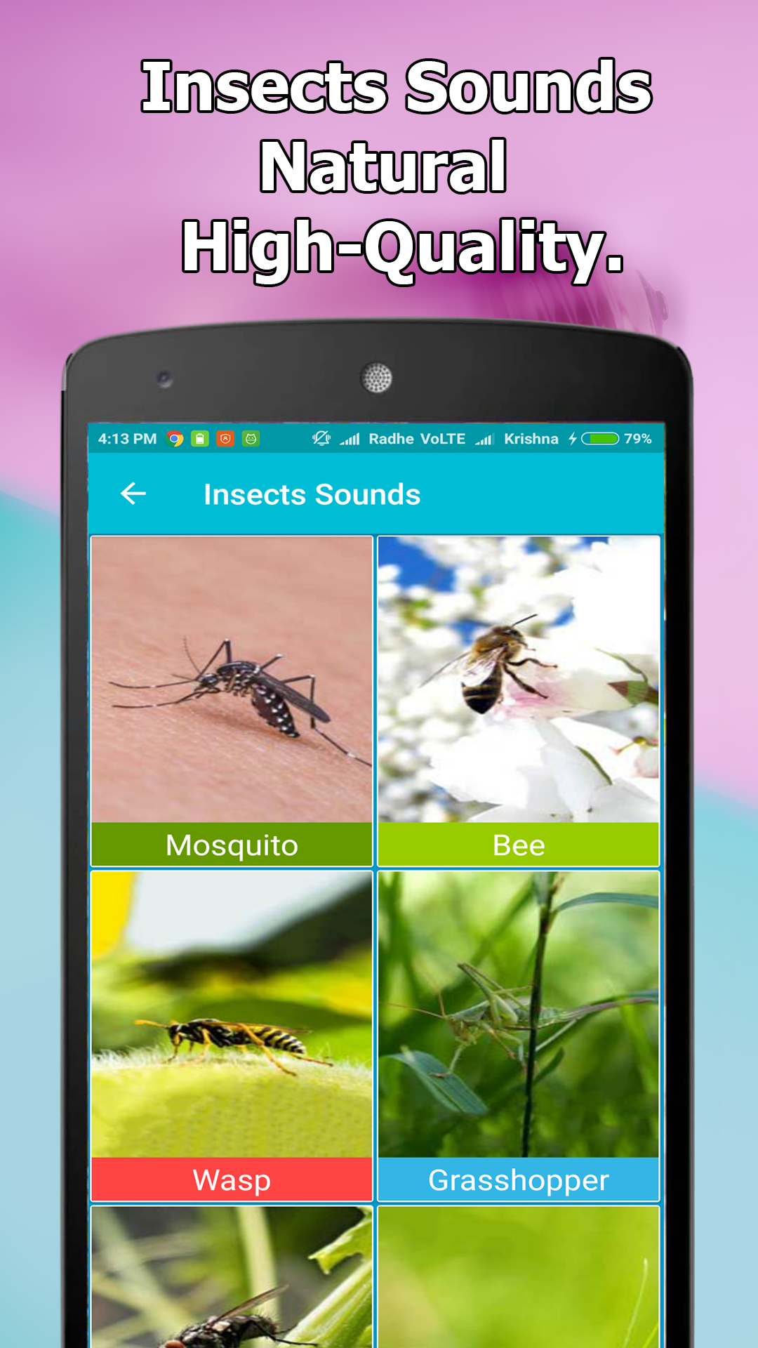 Animal and Bird Sounds Offline - App on Amazon Appstore