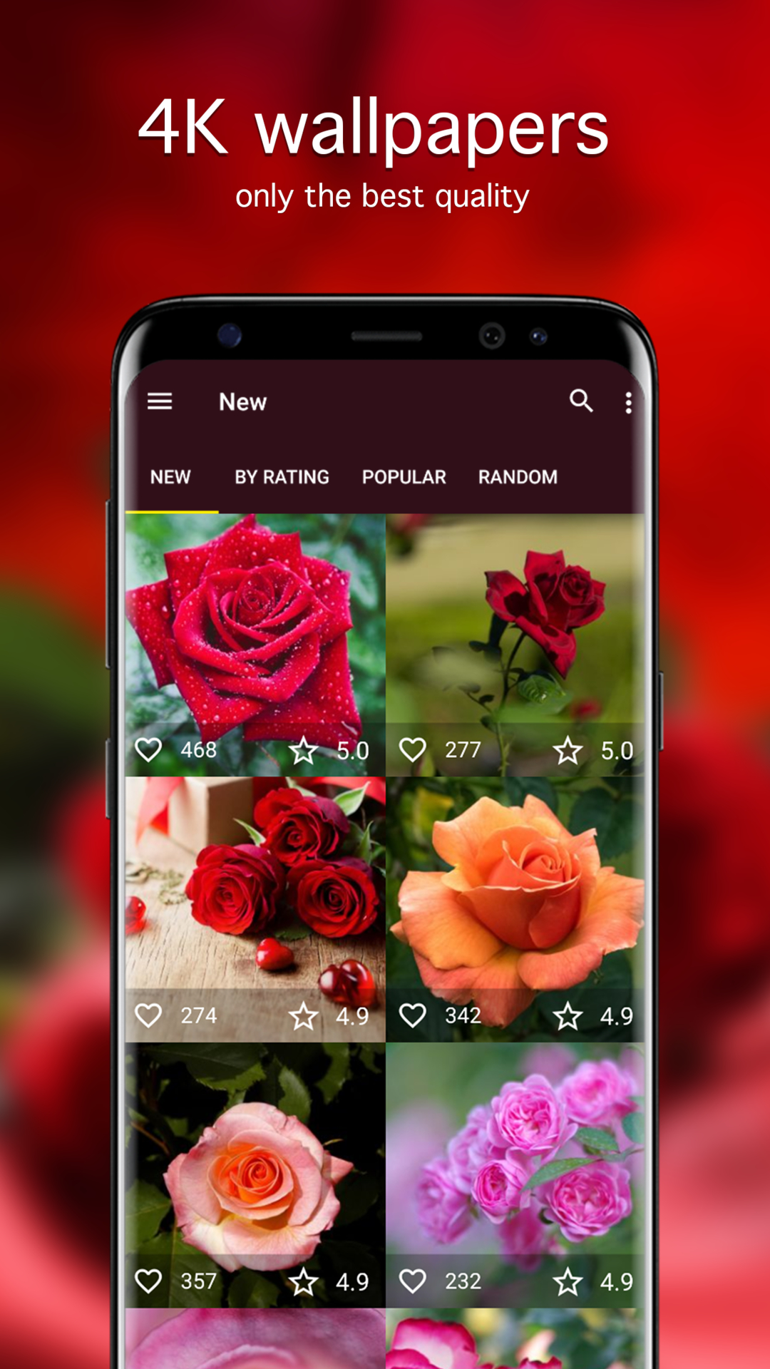 Rose Wallpapers For Phones
