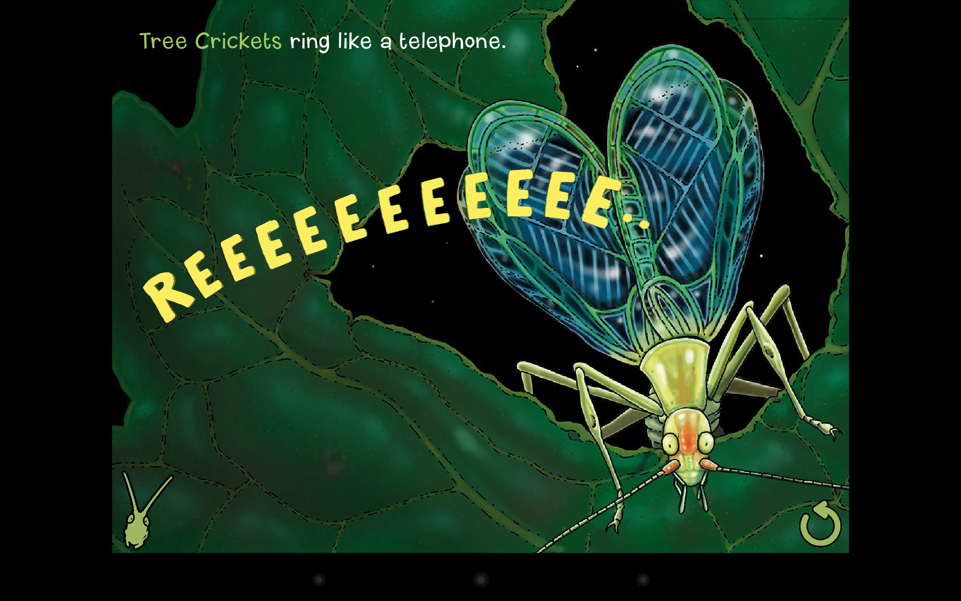 Noisy Bug Sing Along - App on Amazon Appstore