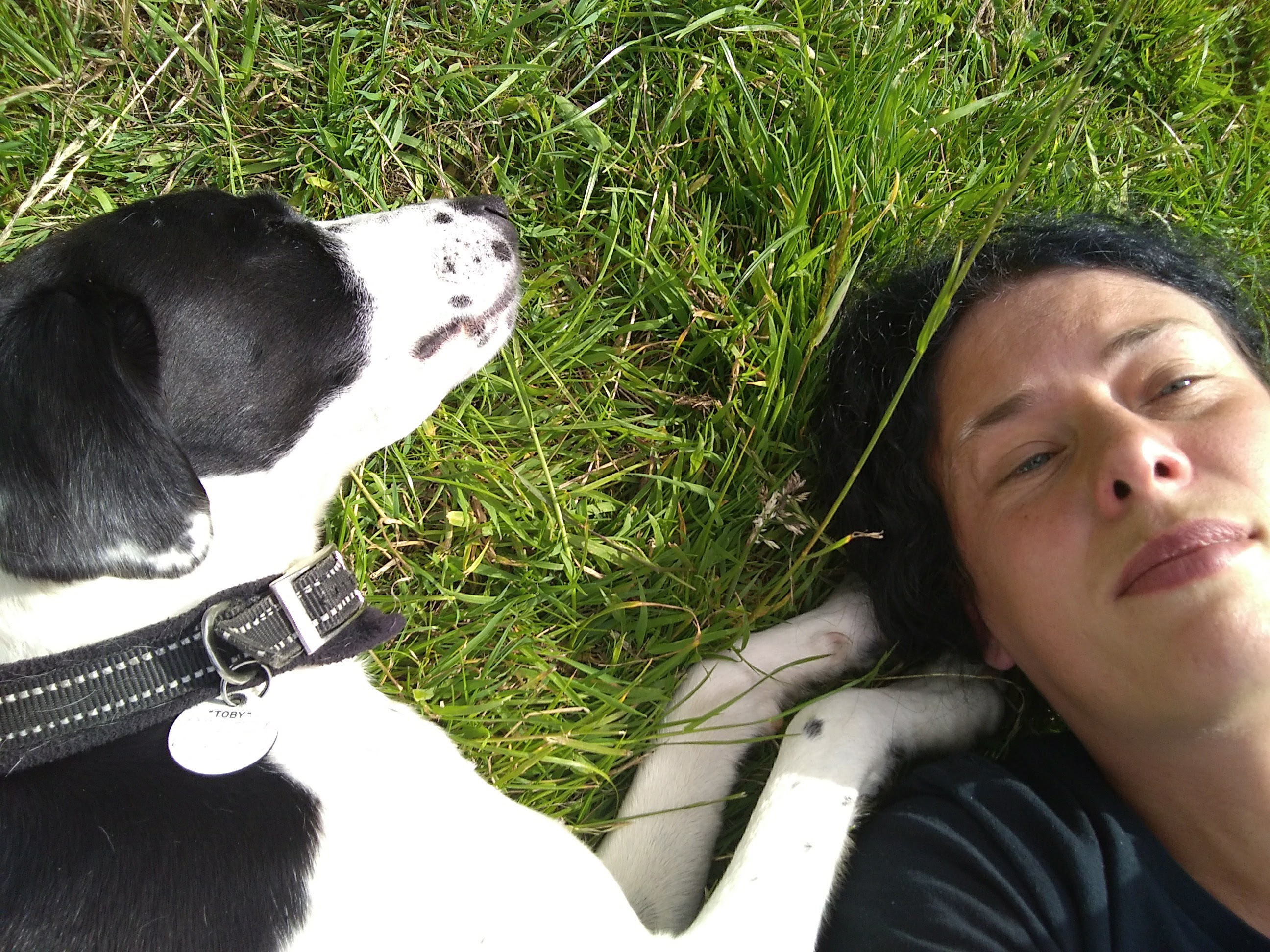 Amazon.com: Molly Milligan: books, biography, latest update