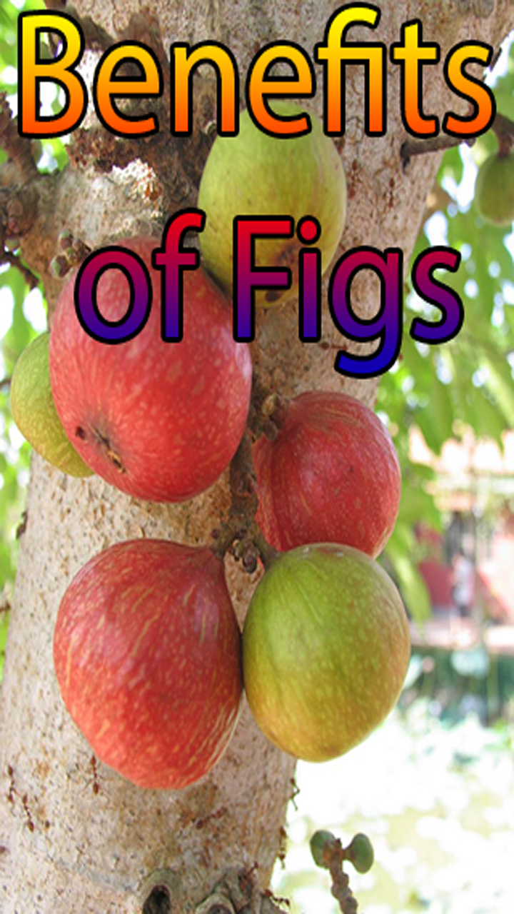Benefits of Figs - App on Amazon Appstore