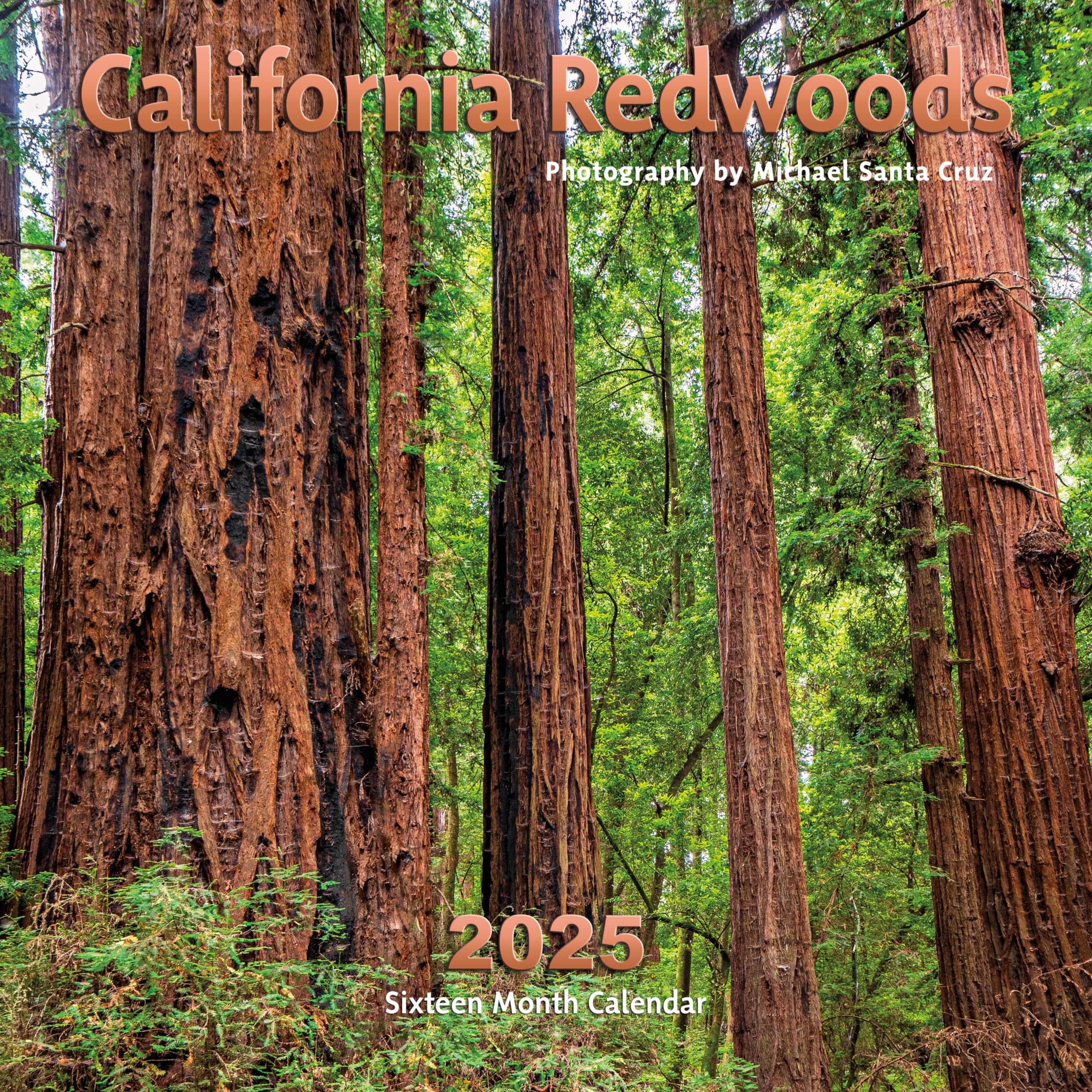 California Redwoods Calendar 2025: Michael Santa Cruz: 9781960333148 ...