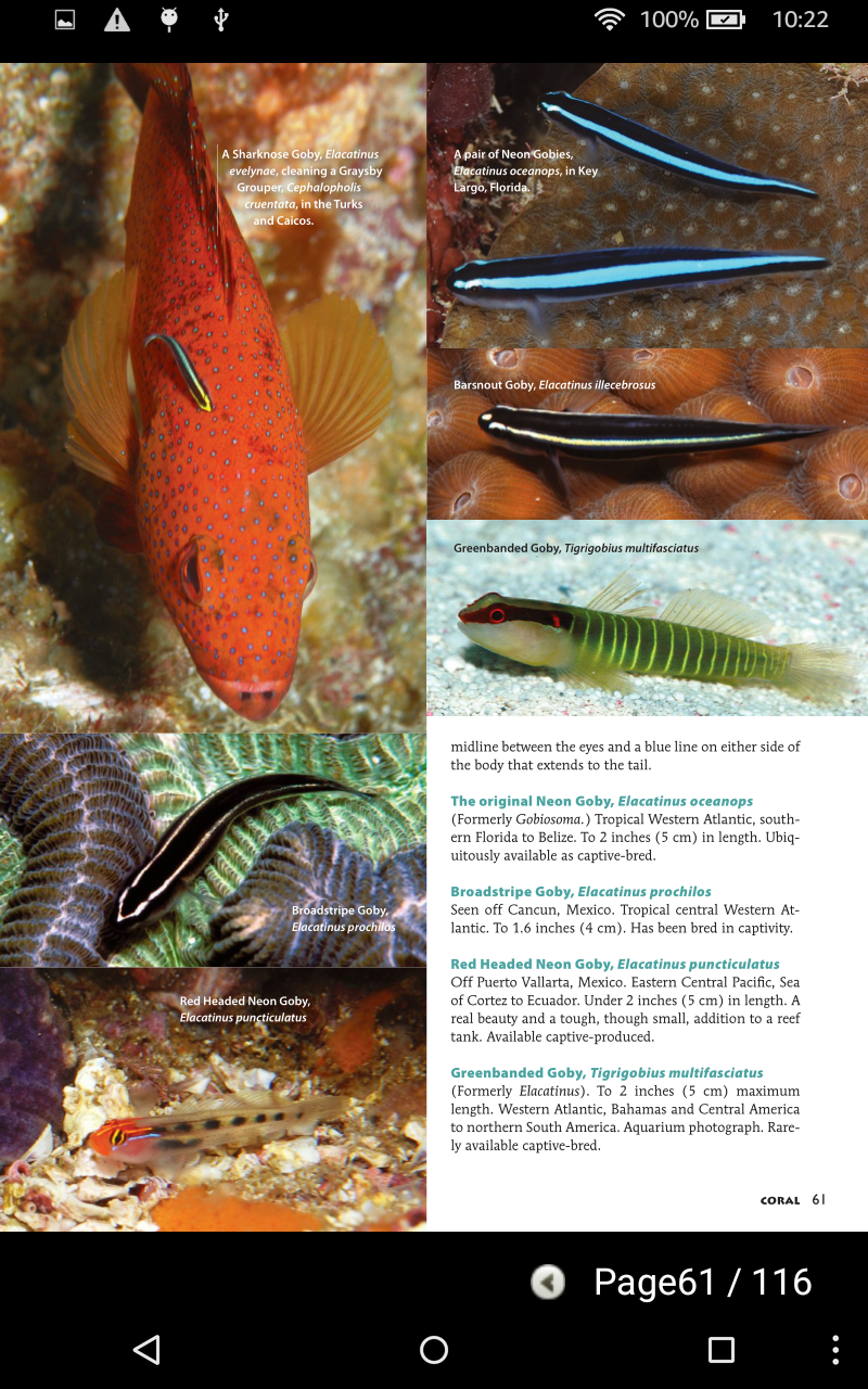 Coral Magazine - App on Amazon Appstore