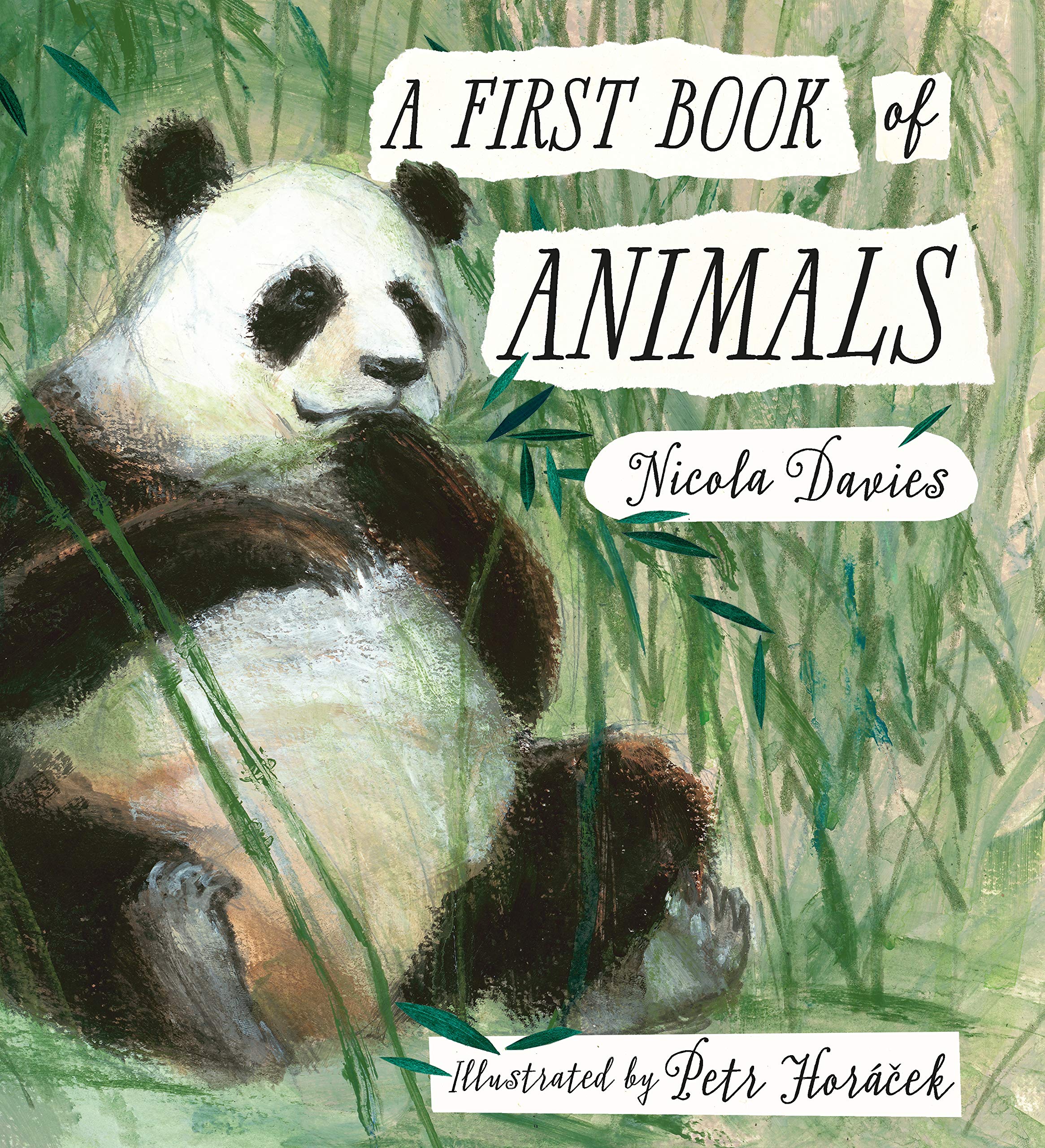 A First Book of Animals : Davies, Nicola, Horácek, Petr: Amazon.co.uk ...