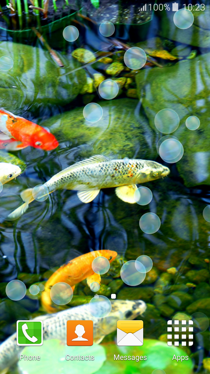 Koi Pond Garden 3d Screensaver Live Wallpaper Hd Youtube Koi Pond ...
