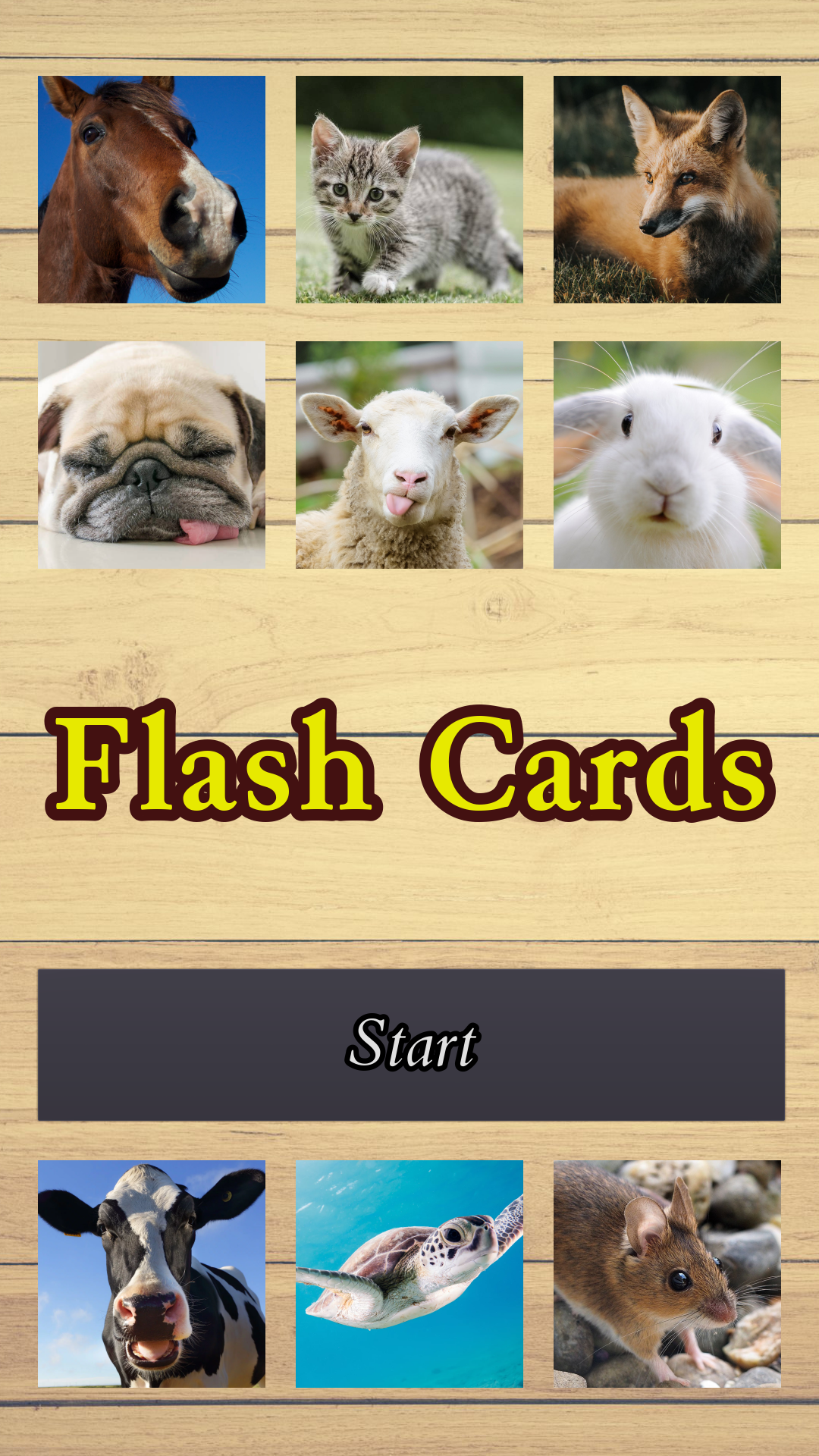 Flash Cards - App on Amazon Appstore