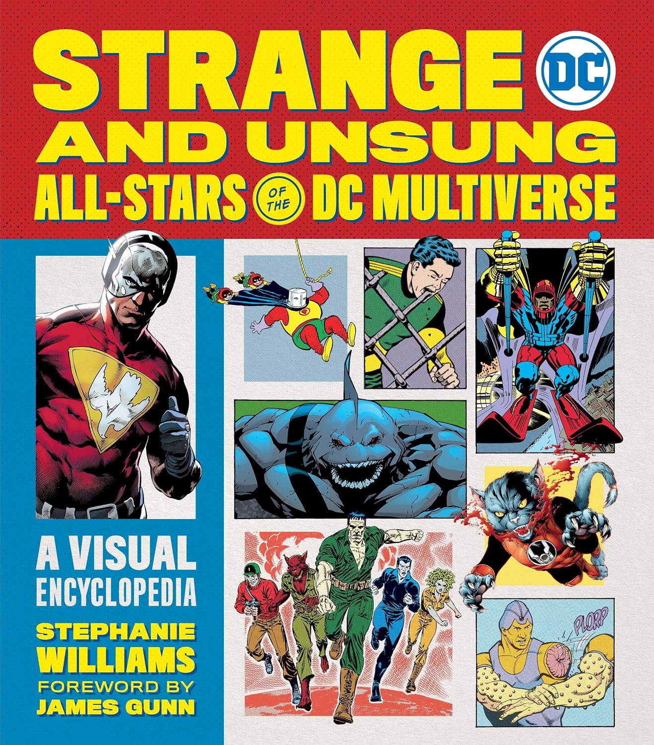 Strange and Unsung All-Stars of the DC Multiverse: A Visual ...