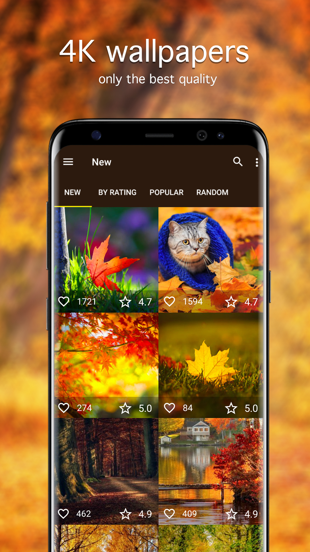 Autumn Wallpapers and Backgrounds apps 4K - App on Amazon Appstore